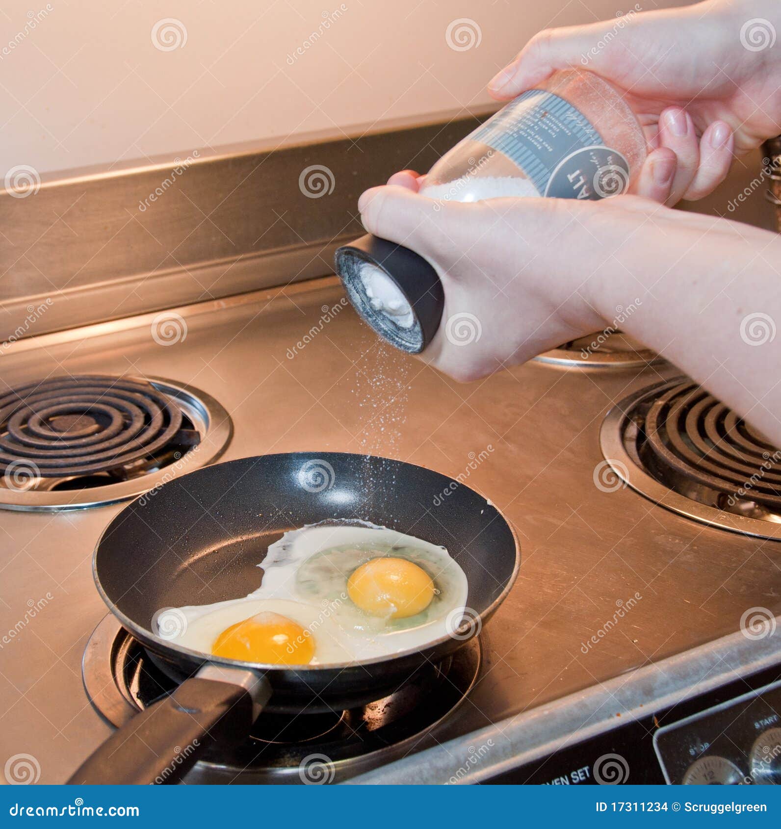 Sea Salt Frying Pan stock photo. Image of handle, grind - 17311234