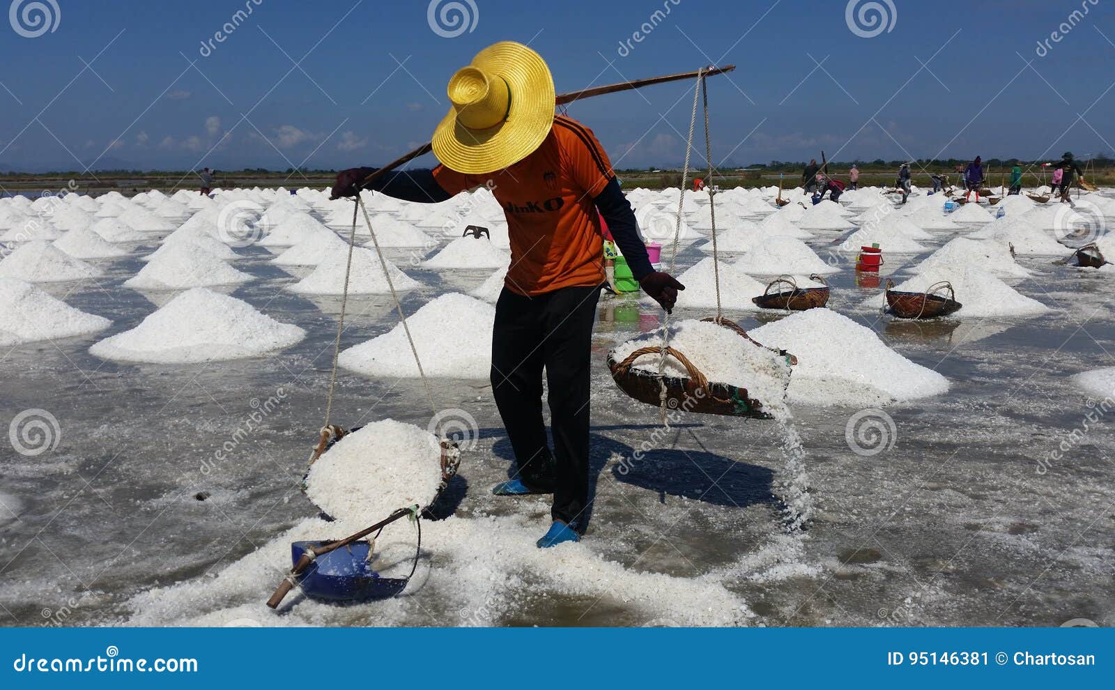 Sea Salt harvest editorial photo. Image of salt, carrying - 95146381