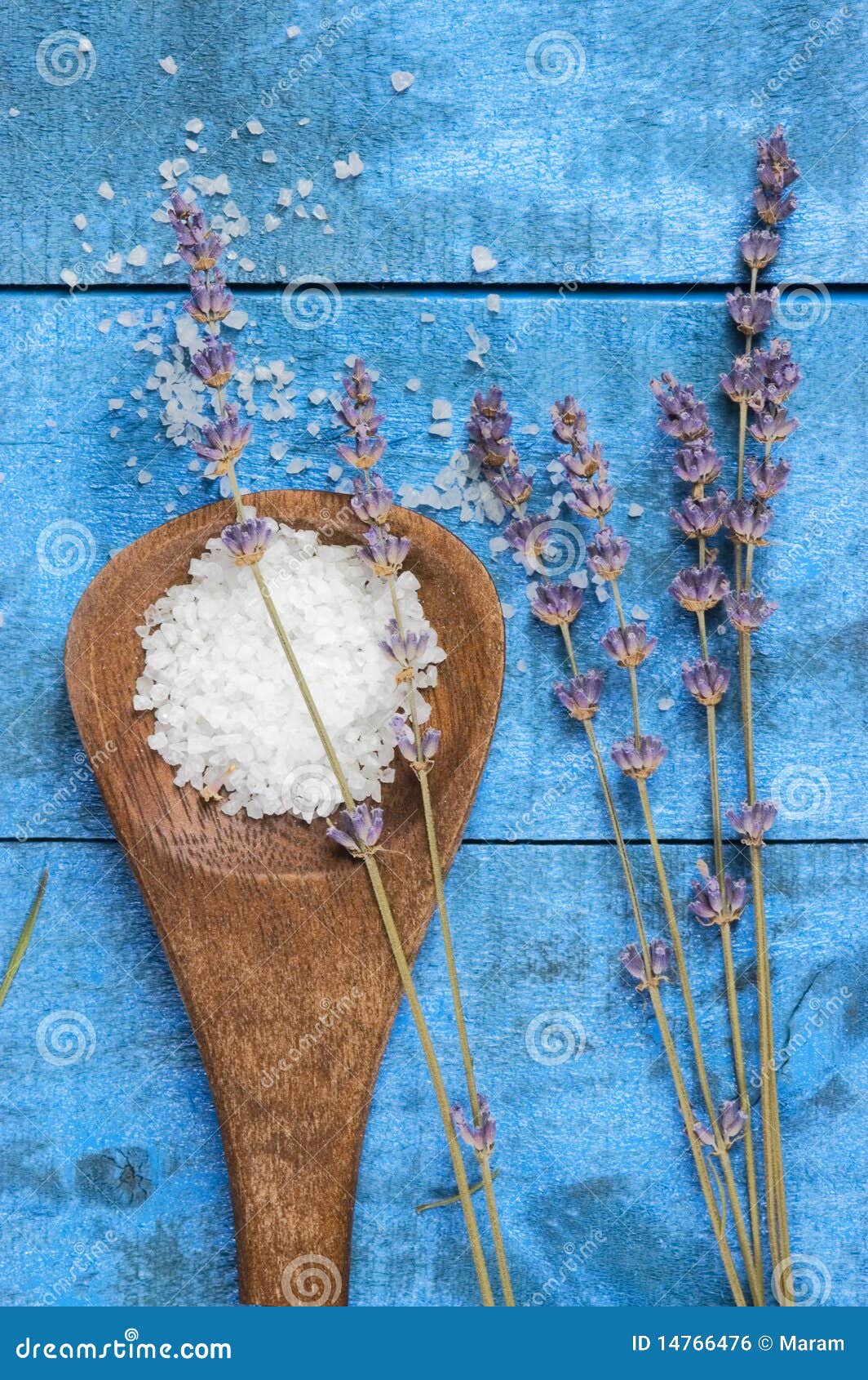 Sea salt with lavender stock photo. Image of leaf, healthy - 14766476