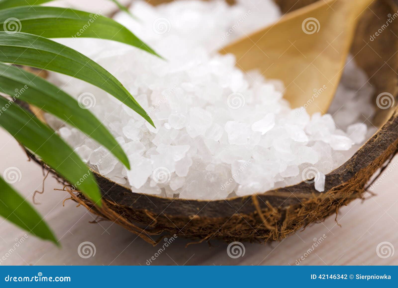 Sea salt with palm leaf stock photo. Image of rustic - 42146342