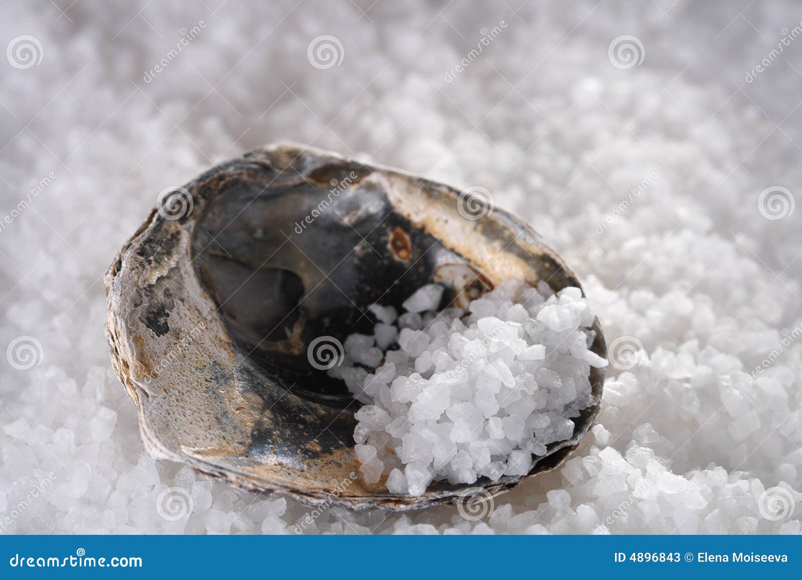 Sea Salt in Sea Shell on Salts Background Stock Image - Image of shell ...