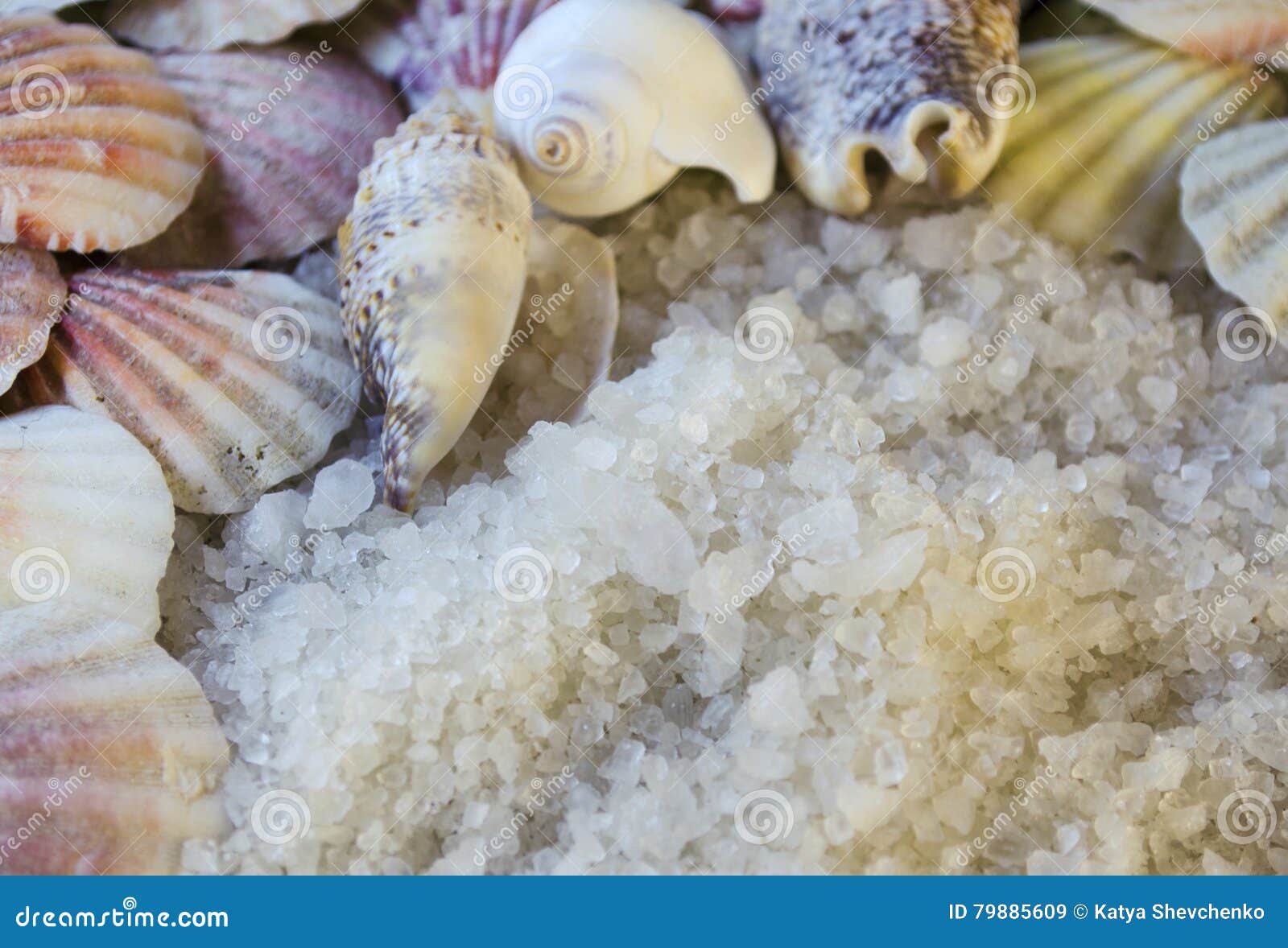 Sea salt and seashells stock image. Image of pure, pile - 79885609