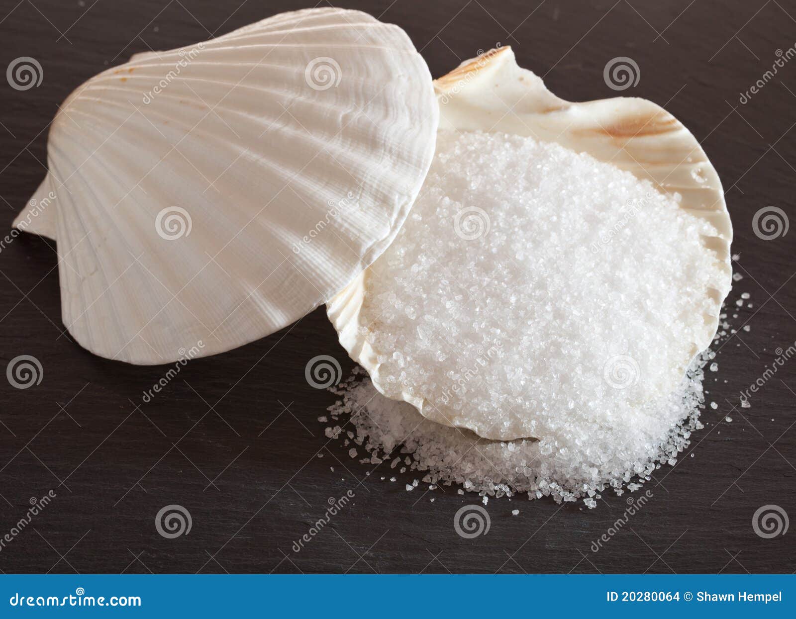 Sea salt in shell stock photo. Image of crystal, closeup - 20280064