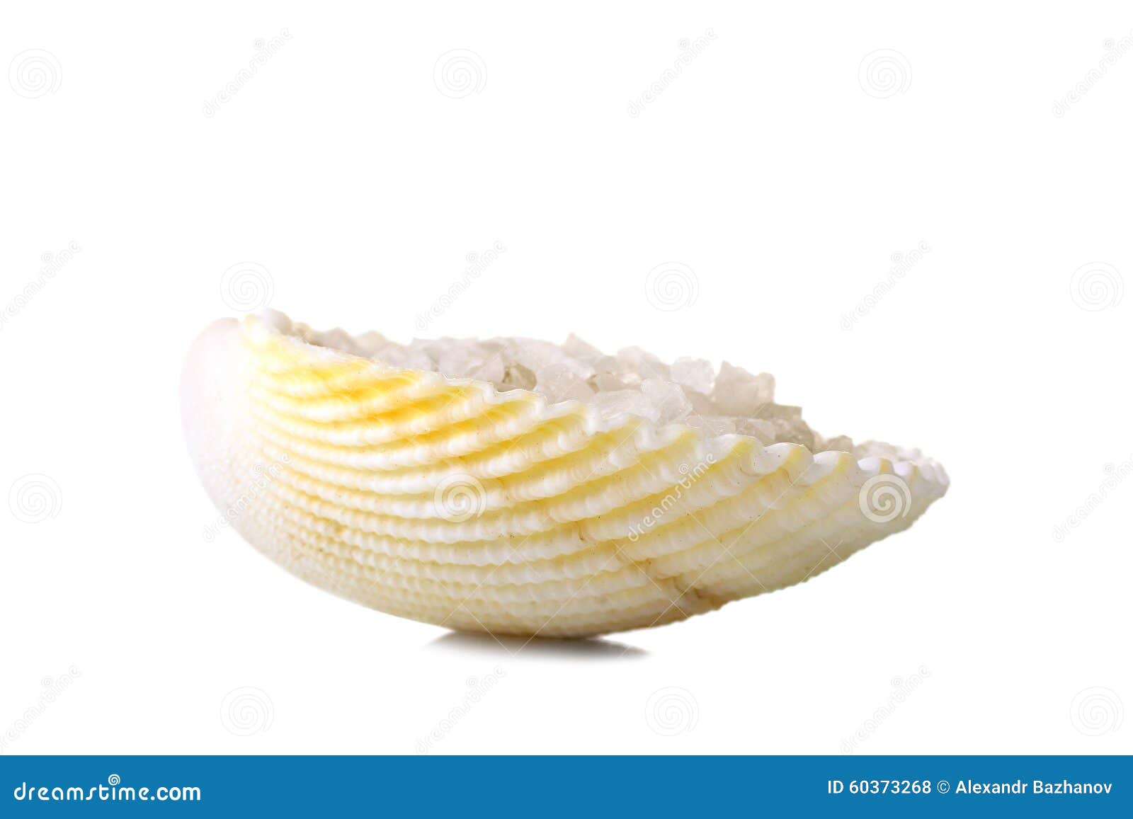 Sea salt in a shell stock photo. Image of produce, meal - 60373268
