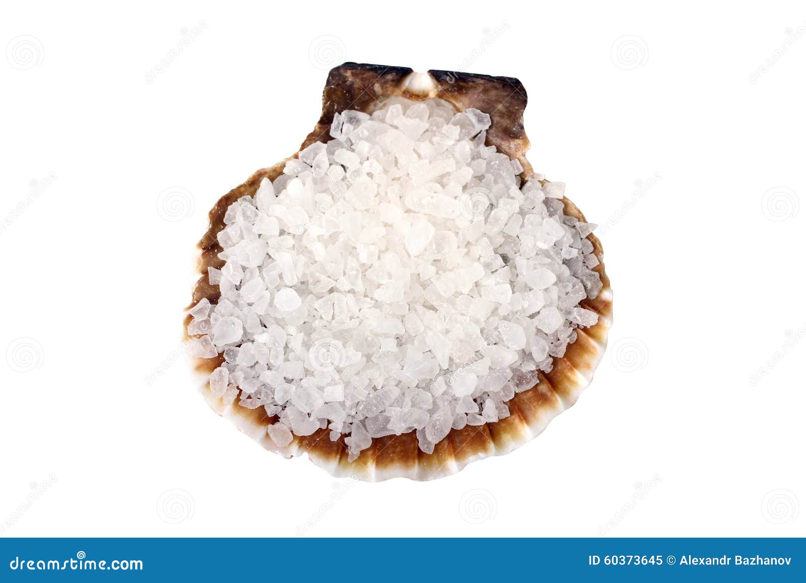 Sea salt in a shell stock image. Image of nutrition, natural - 60373645