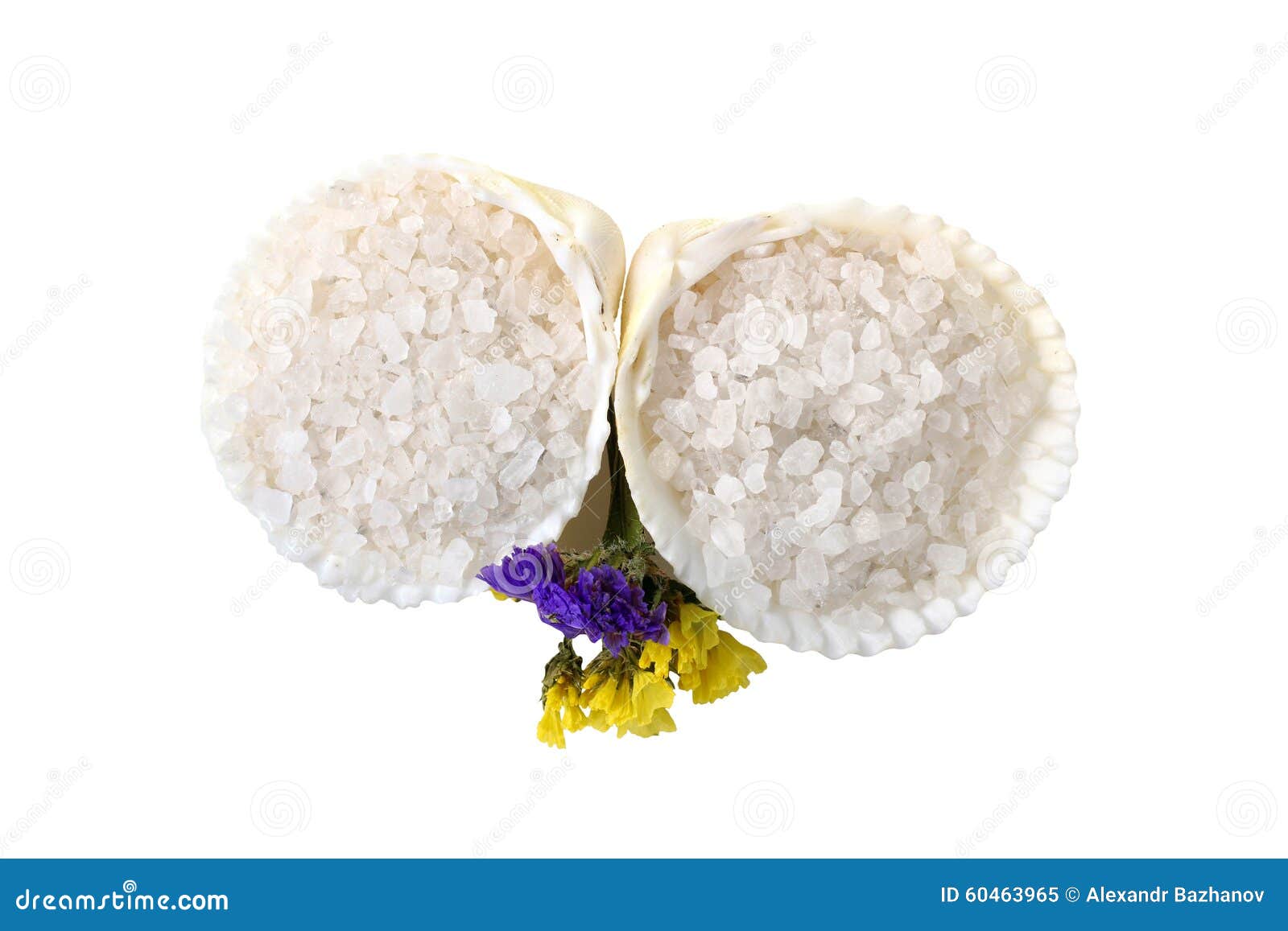 Sea salt in a shell stock image. Image of closeup, meal - 60463965