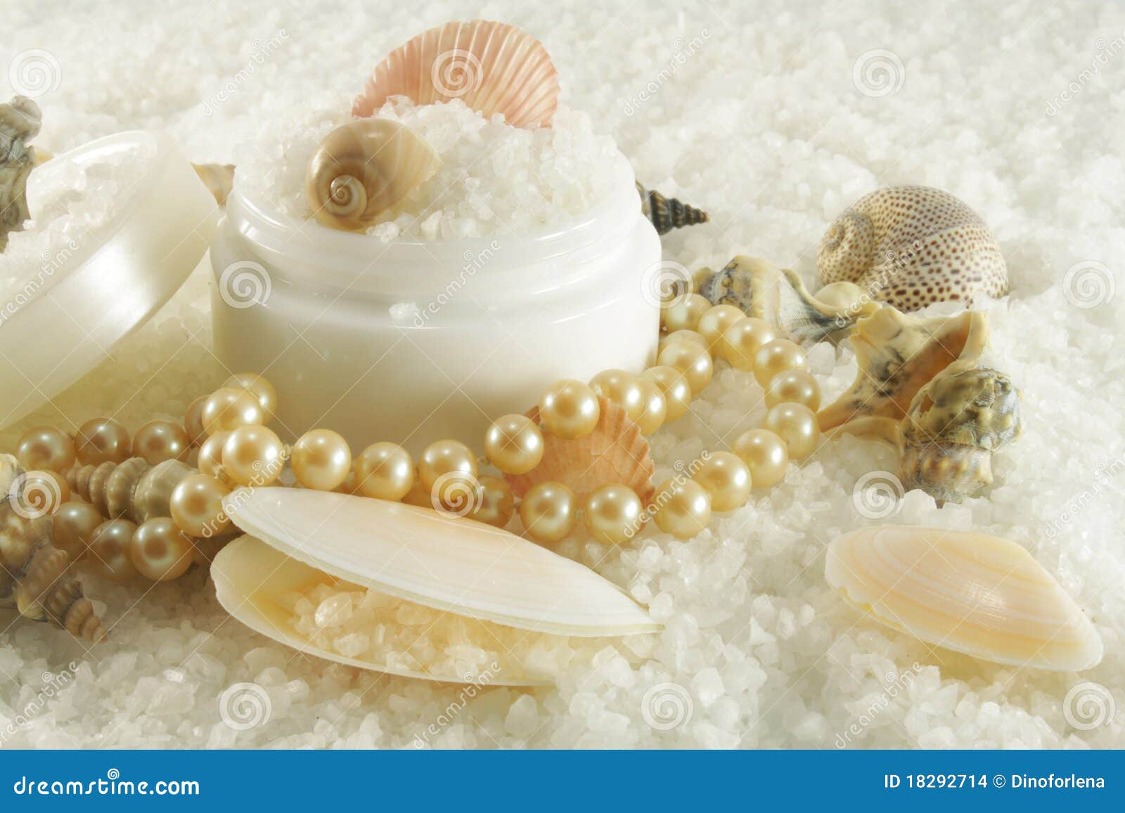 Sea salt, shells, pearls stock photo. Image of philosophy - 18292714