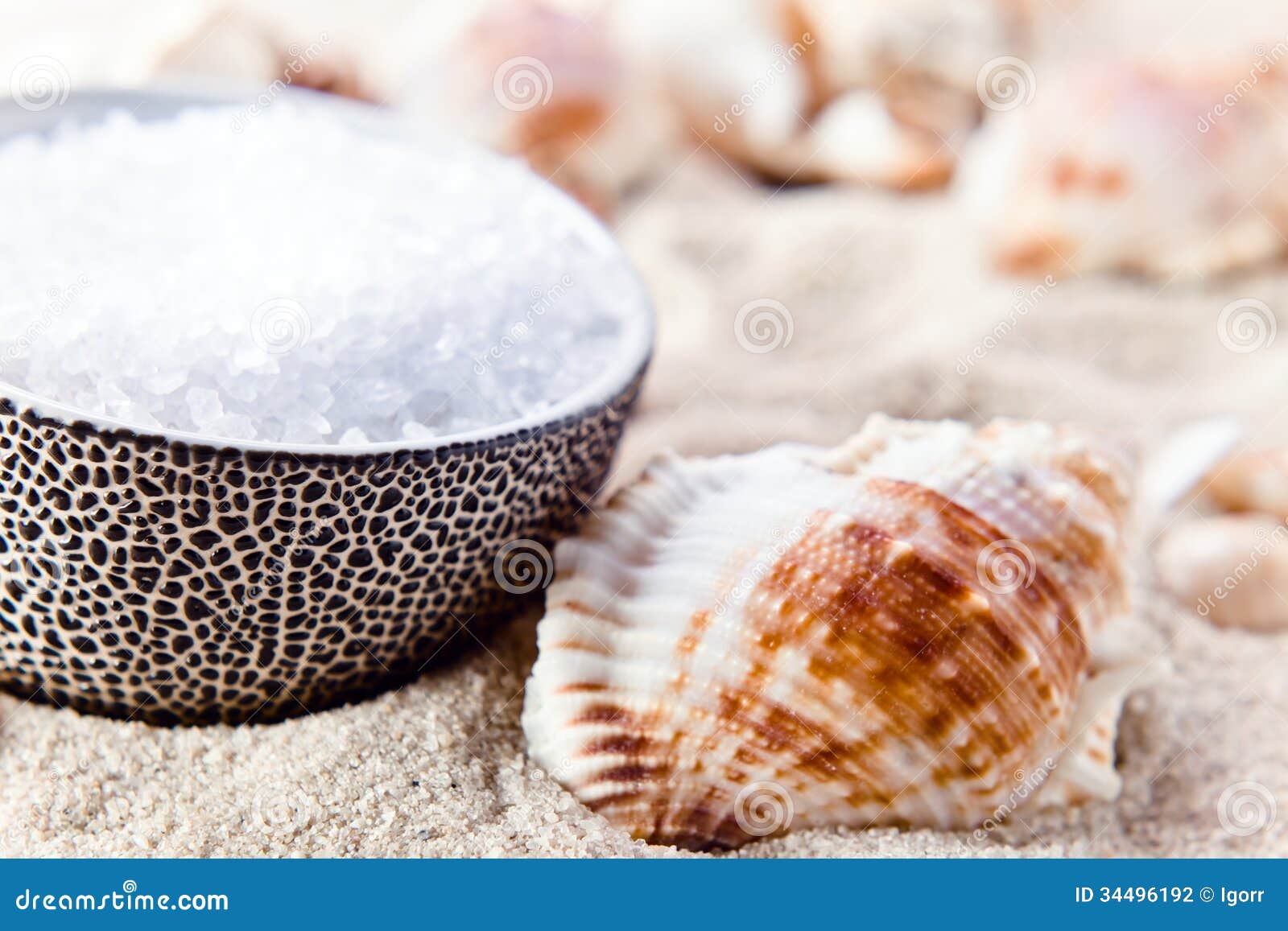 Sea salt stock photo. Image of conch, mineral, care, closeup - 34496192