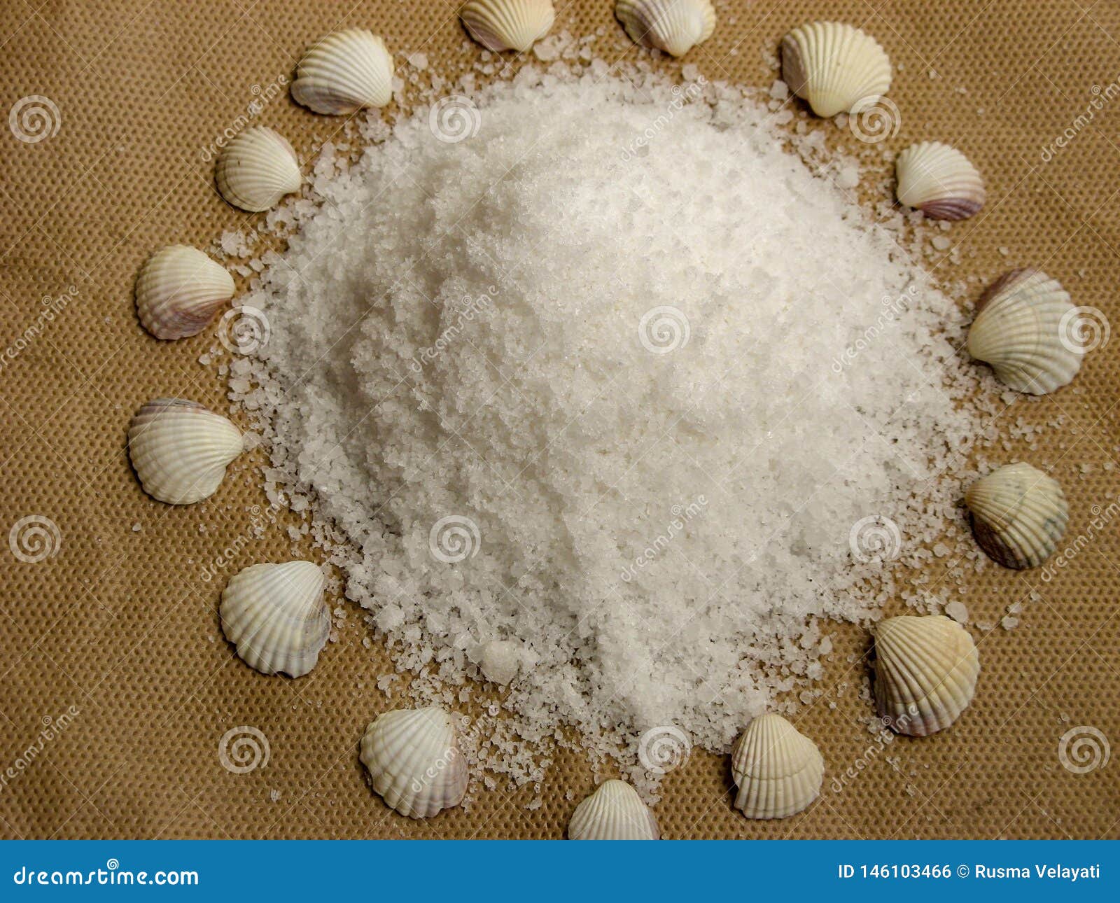 Sea Salt Surrounded by Shells on Brown Stock Photo - Image of nature ...