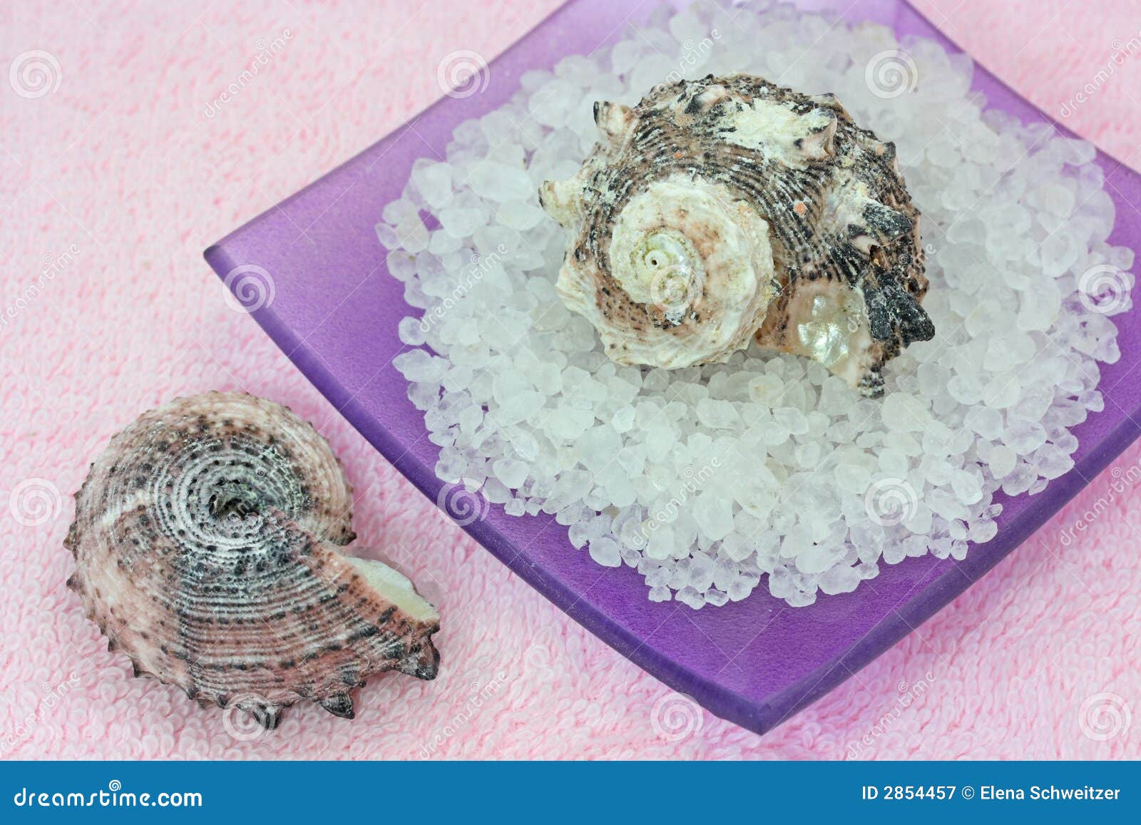 Sea Salt And Two Seashells Picture. Image: 2854457
