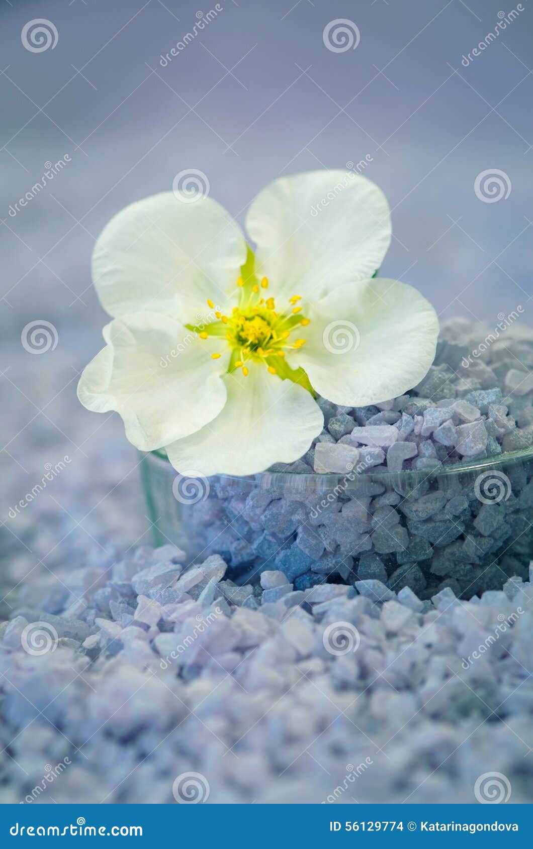 Sea salt and white flower stock photo. Image of ingredient - 56129774