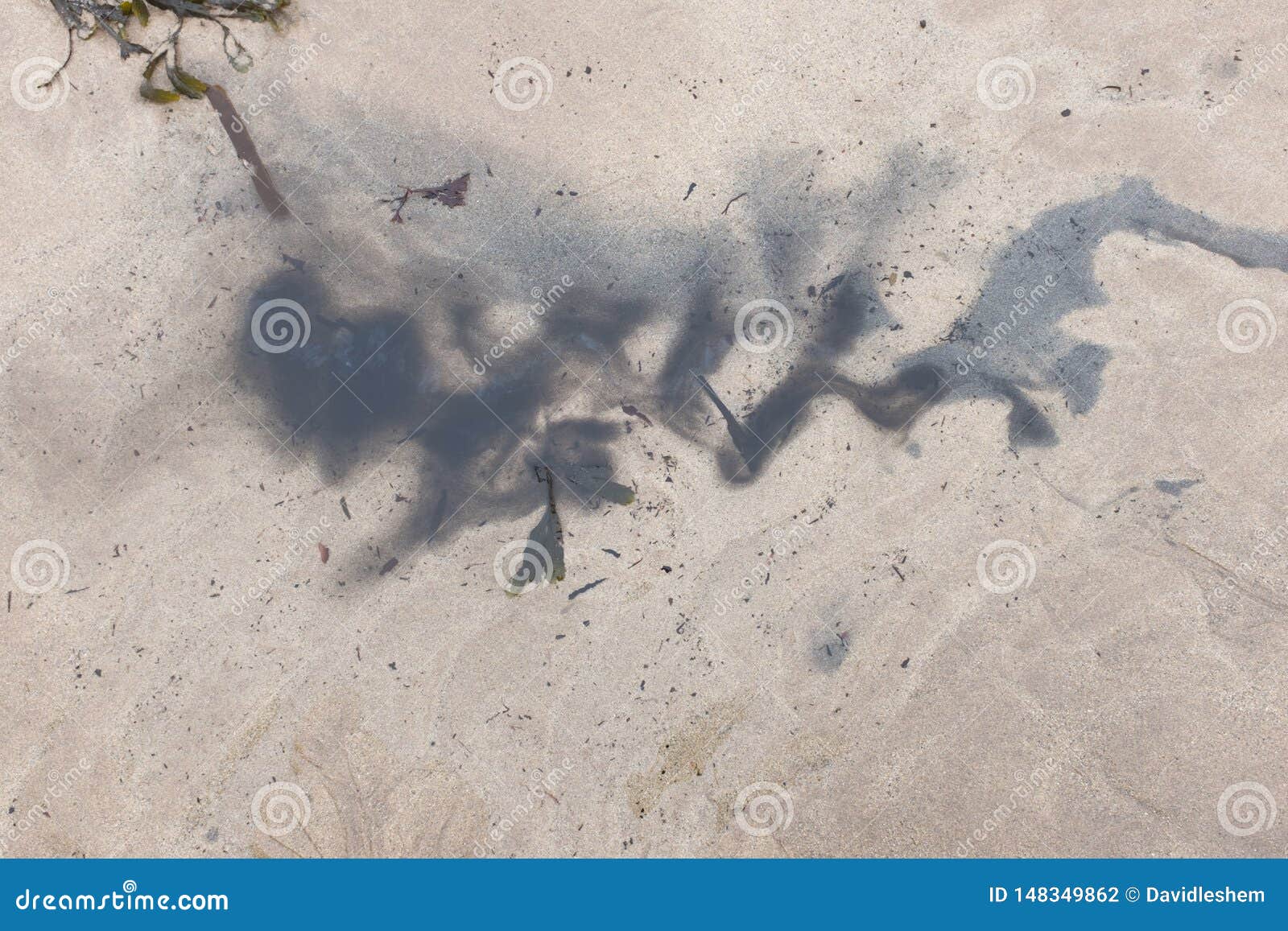 Sea Sand and Ink Color Patterns Stock Photo - Image of closeup, nature ...