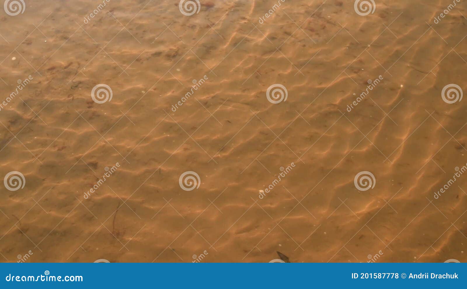 Sea Sand Bottom through the Transparent Seawater Stock Footage - Video ...