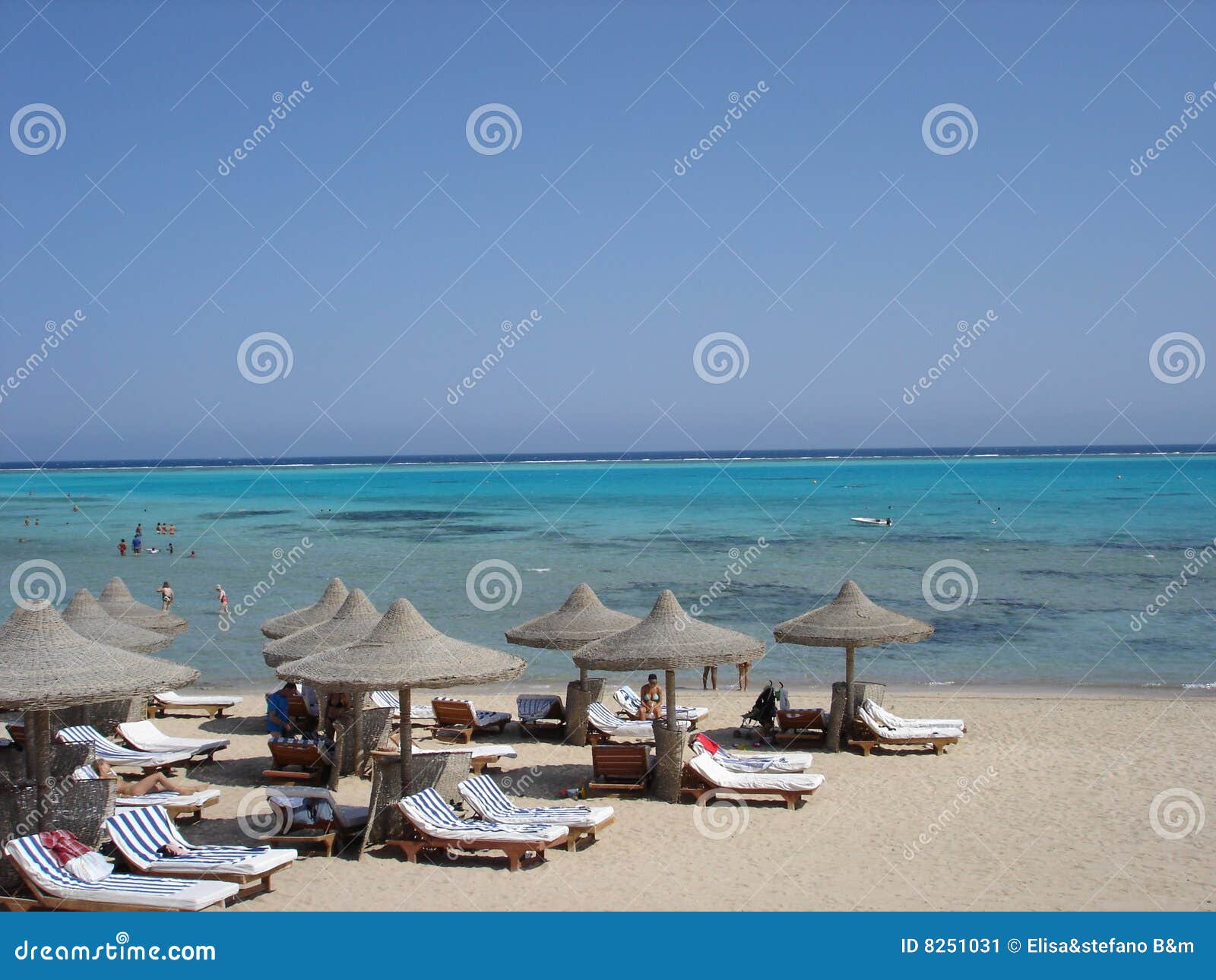 Sea and sand in Red Sea stock image. Image of calm, reef - 8251031