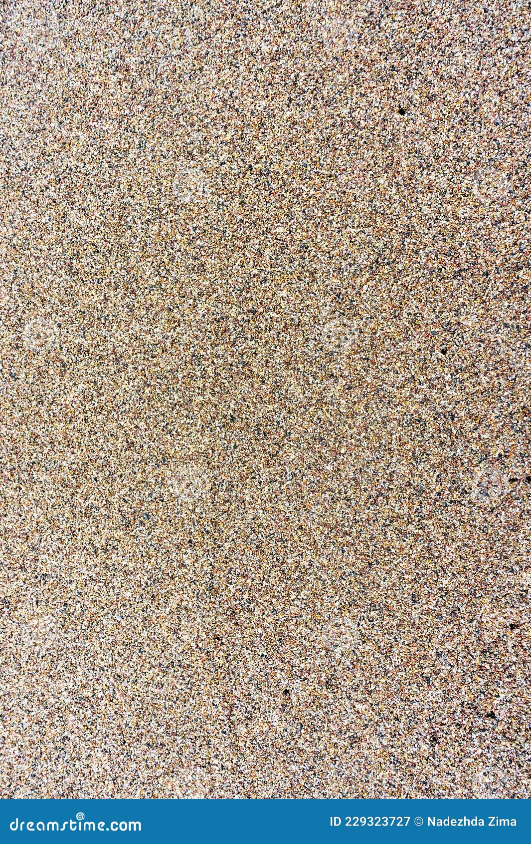 Sea Sand. Sandy Background. Sandy Texture. Natural Sea Sand and River ...