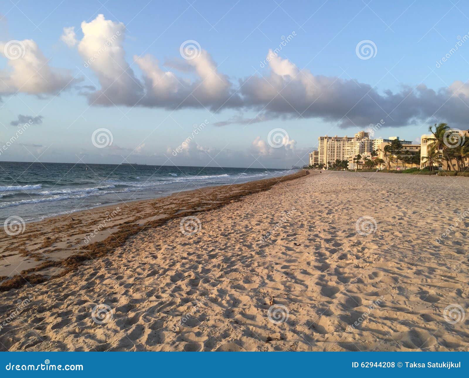 Sea, sand, scene stock photo. Image of beach, scene, sand - 62944208