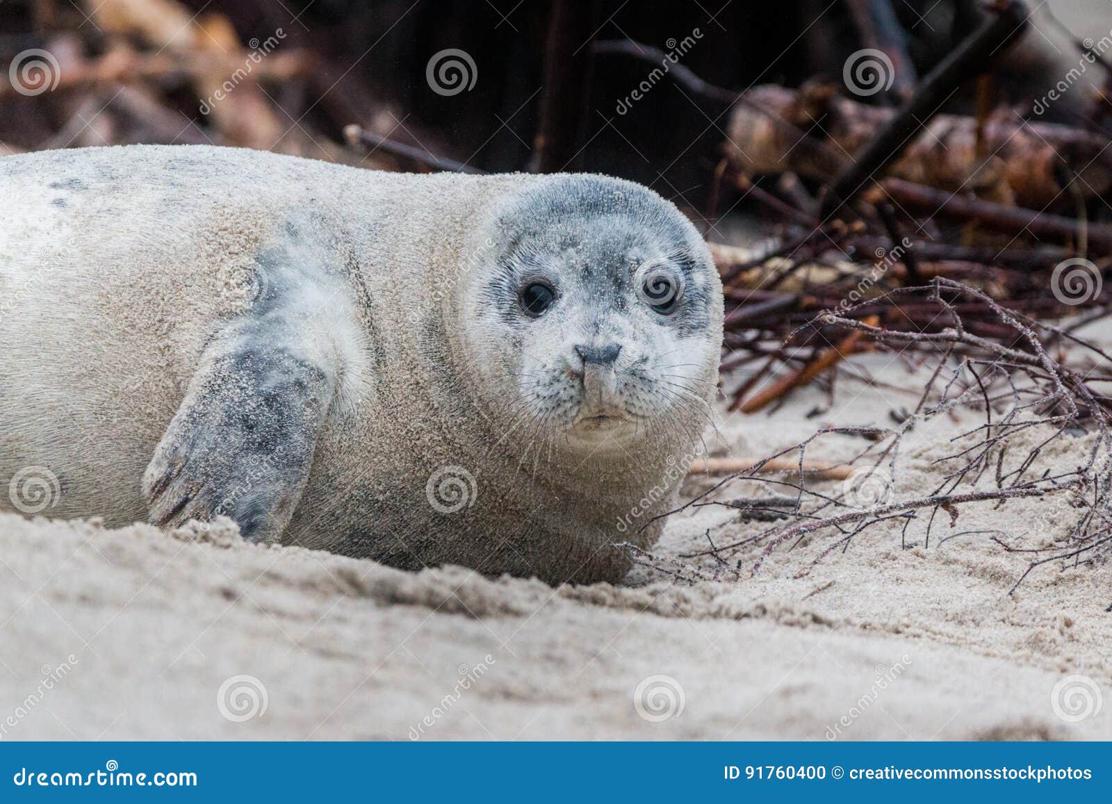 Sea On Sand Picture. Image: 91760400