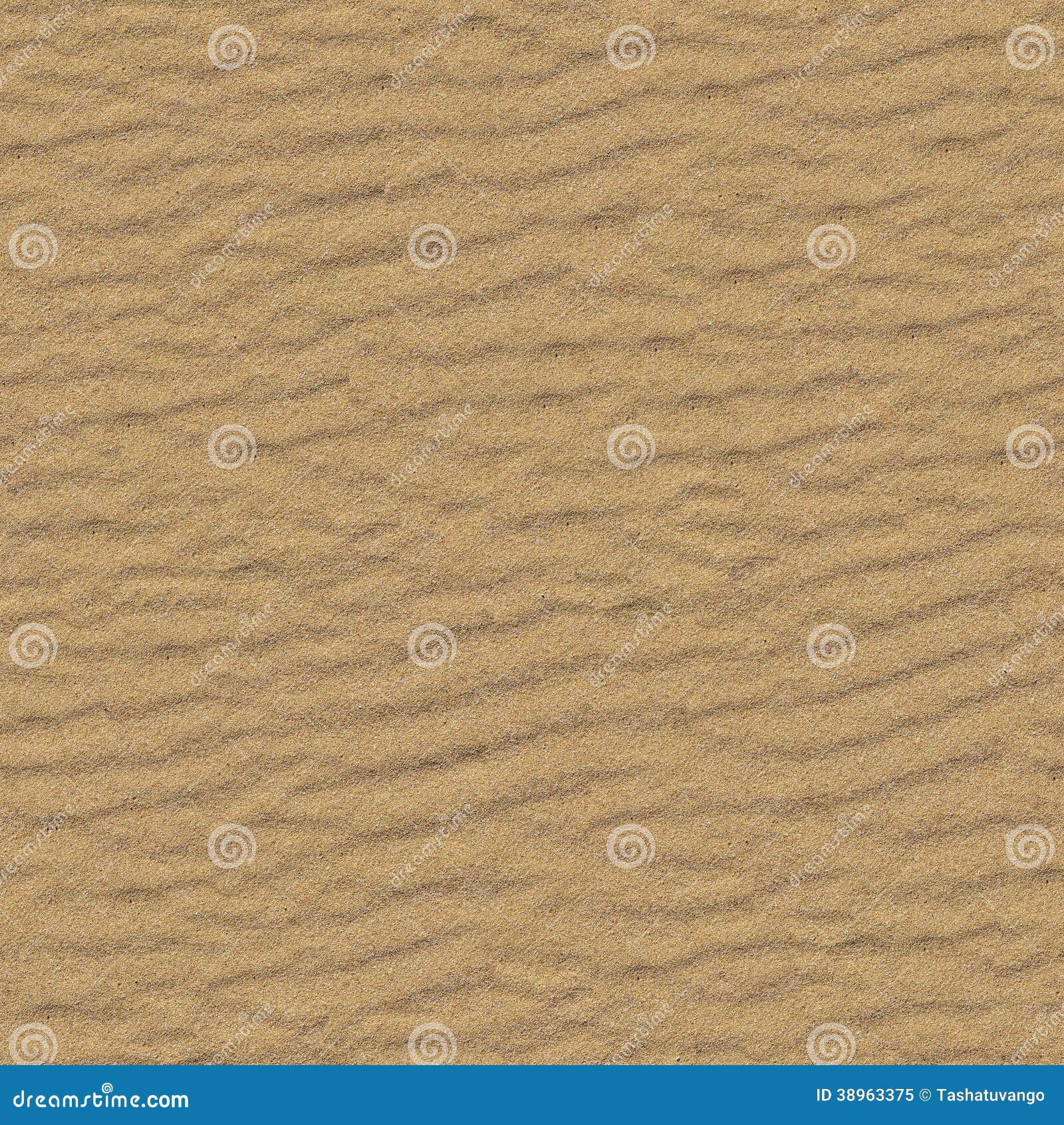 Sea Sand. Seamless Tileable Texture Stock Image - Image of coast ...