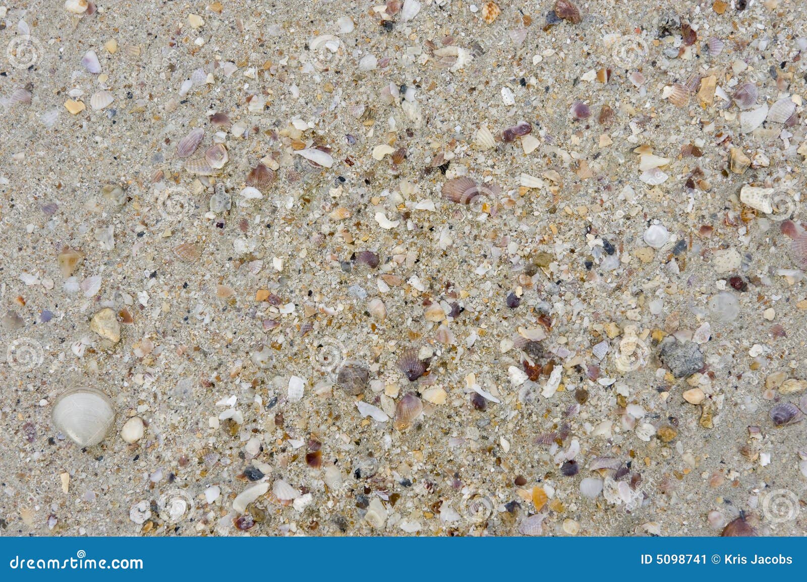 Sea sand and shells stock image. Image of broken, animal - 5098741