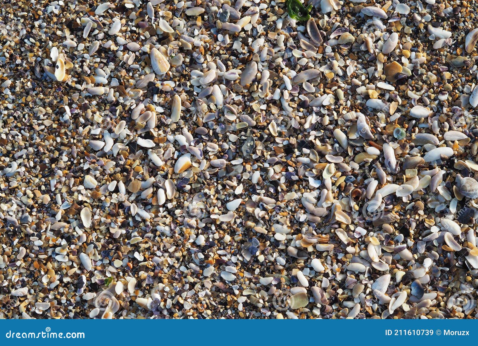 Sea Sand and Shells Wallpaper Background Stock Image - Image of ...
