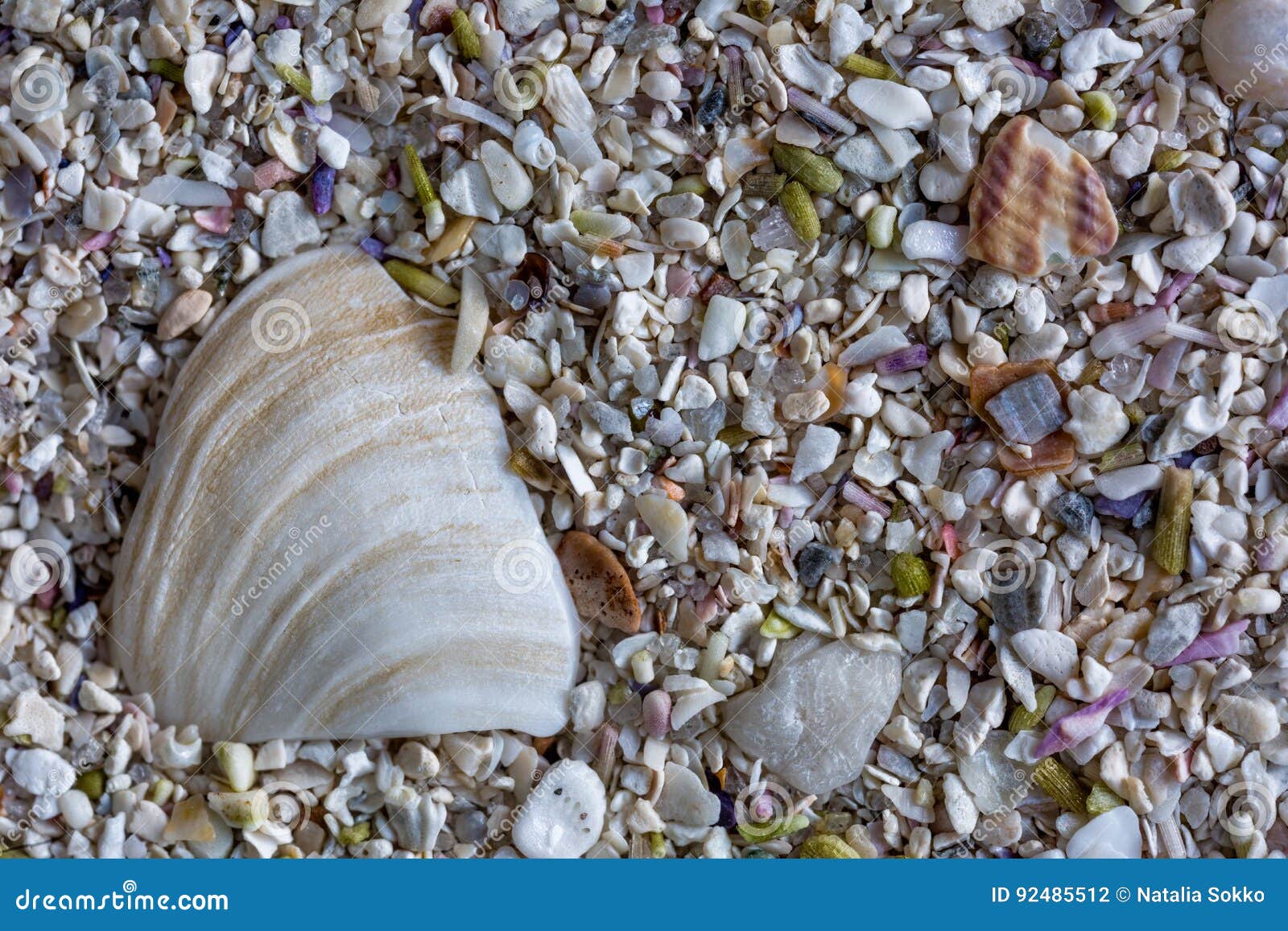 Sea Sand with Small Shells, Background, Macro Stock Photo - Image of ...