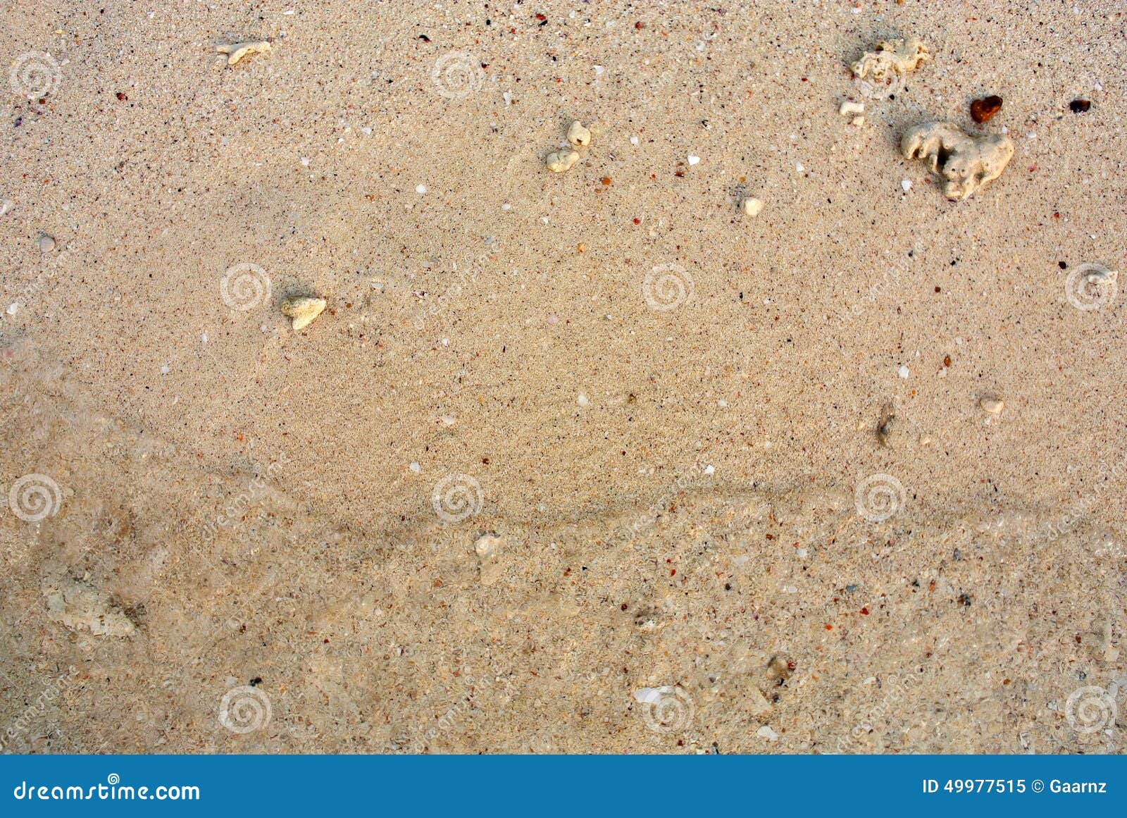 Sea Sand Texture stock image. Image of natural, marine - 49977515