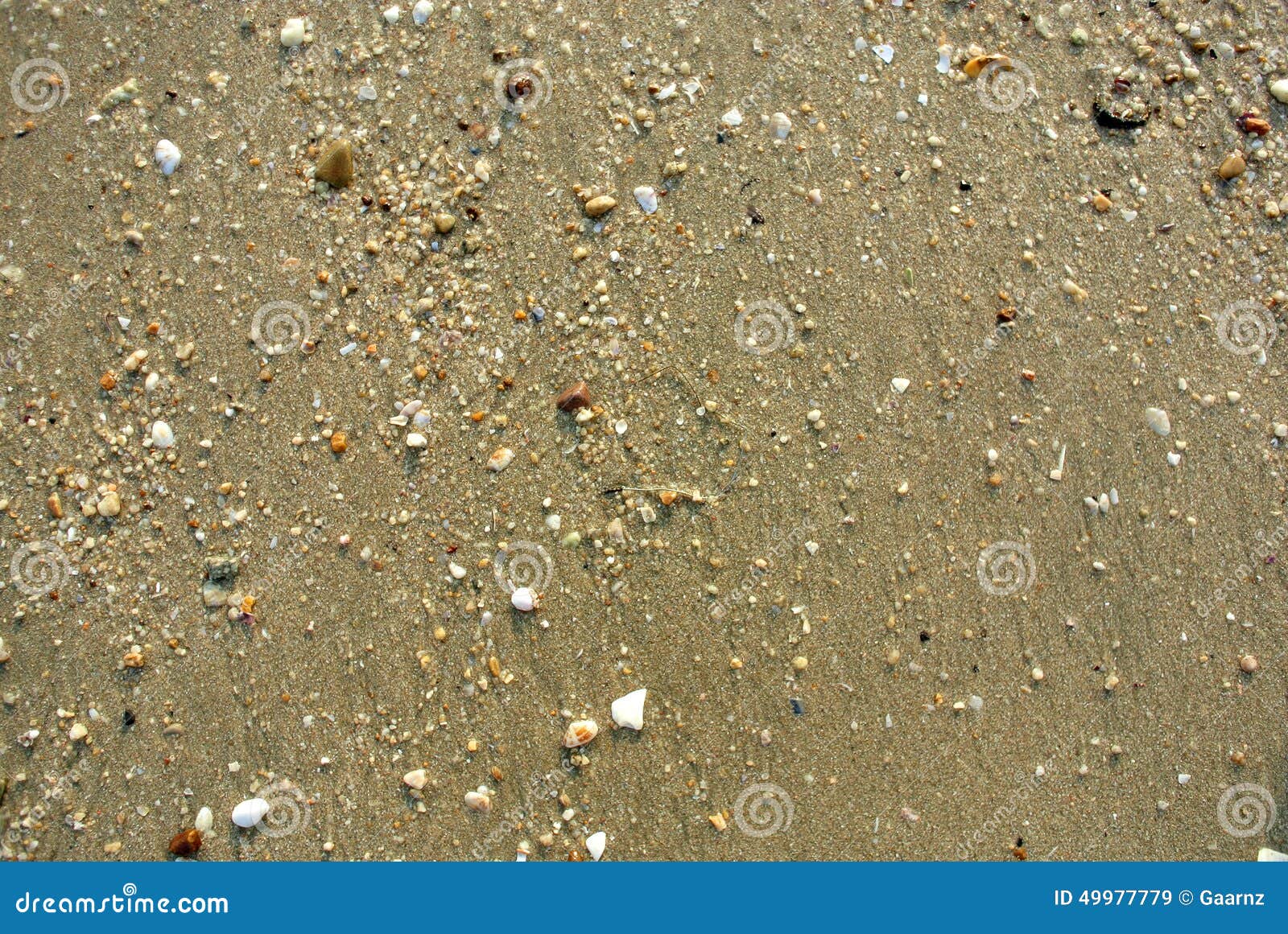Underwater Beach Sand Texture Seamless 12741