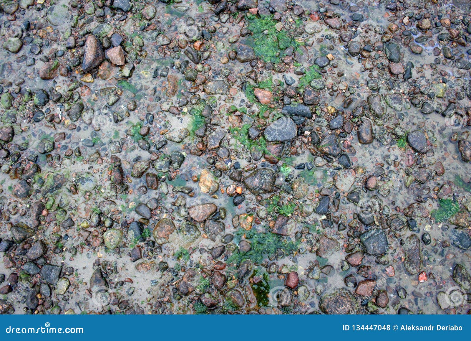Sea Sand Texture Made of Shell and Stone Pieces Stock Photo - Image of ...