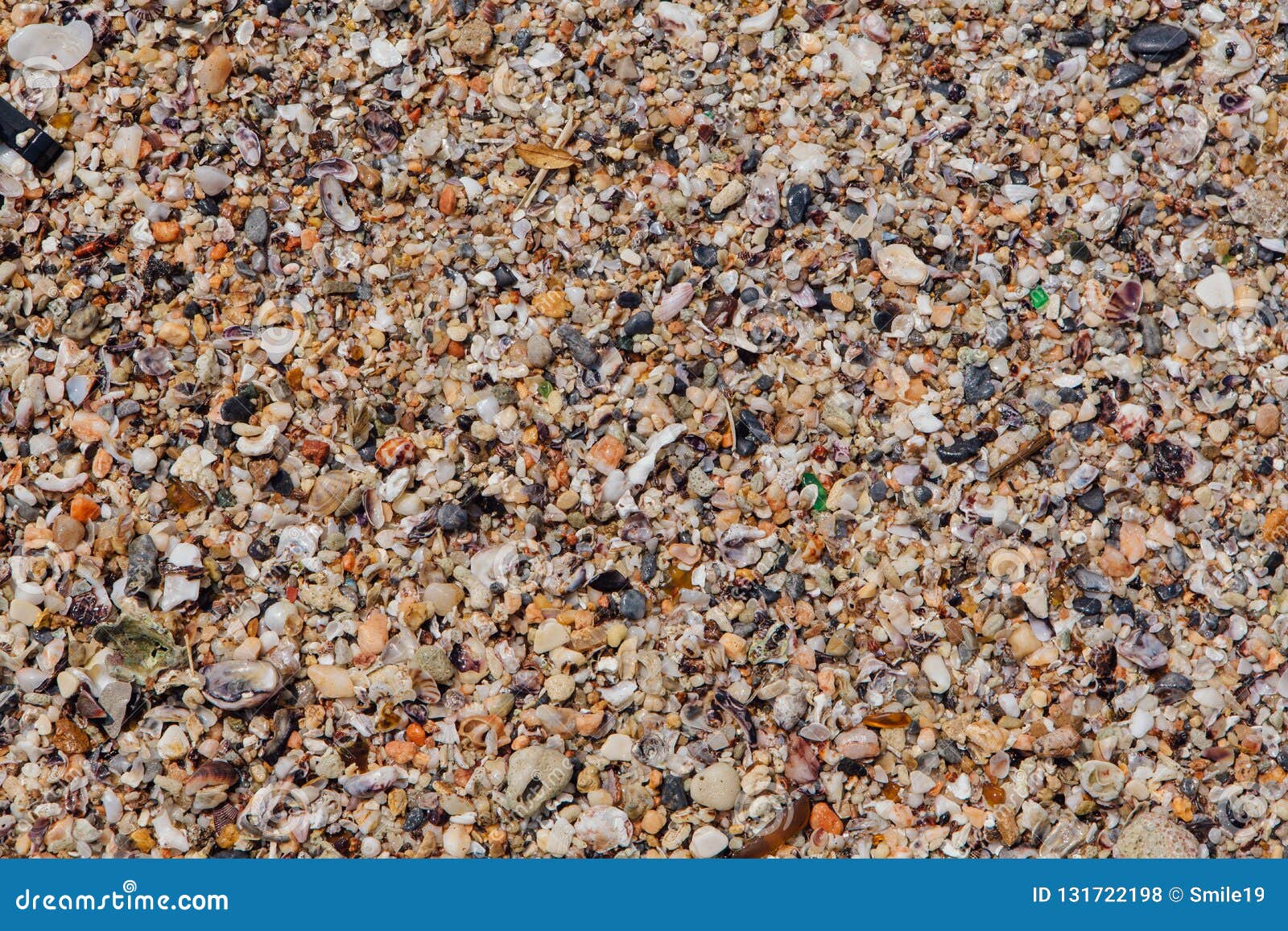 Sea Sand Texture Made of Shell and Stone Pieces. Stock Photo - Image of ...