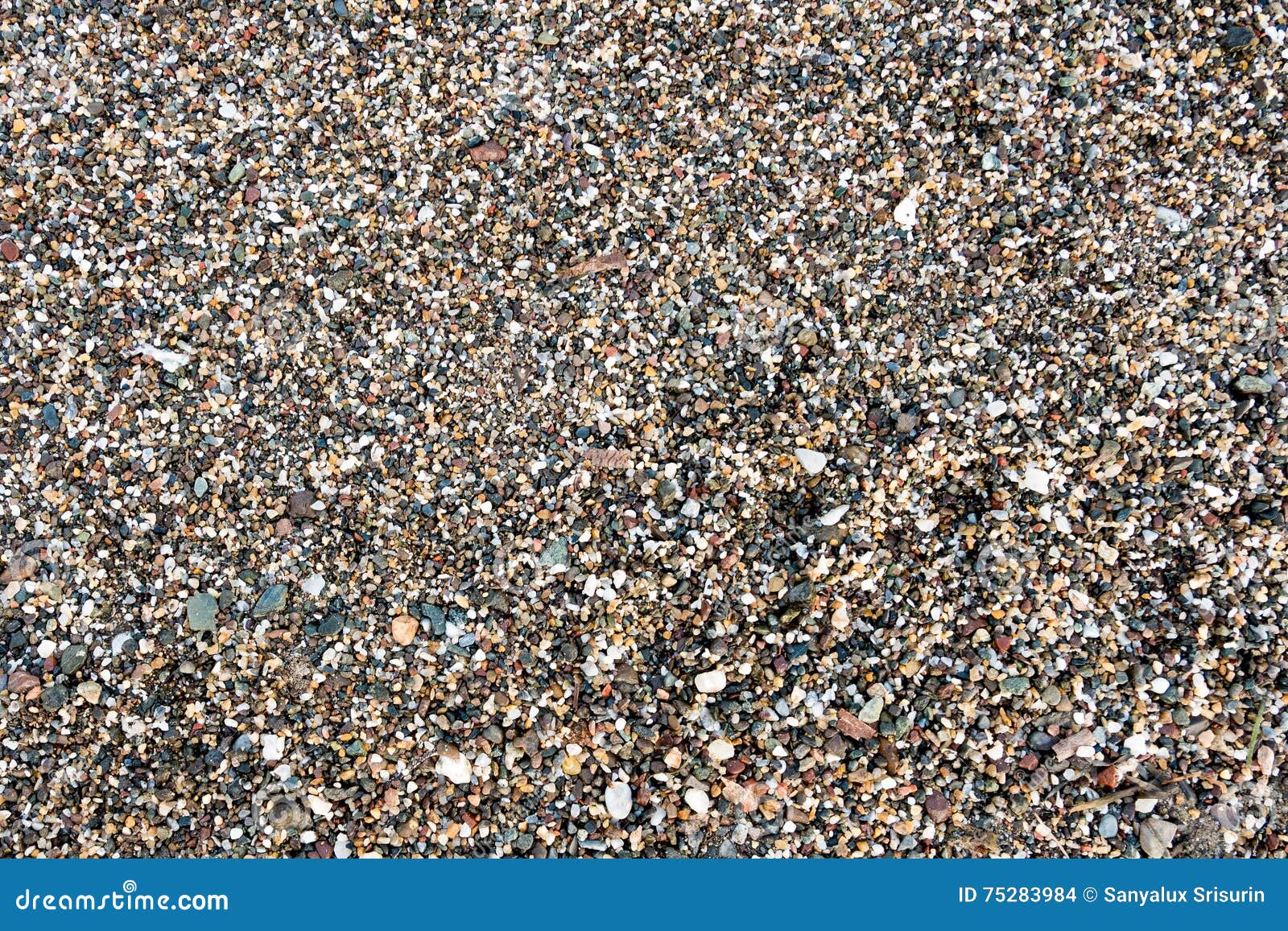 Sea Sand Texture Made of Shell and Stone Pieces. Stock Photo - Image of ...