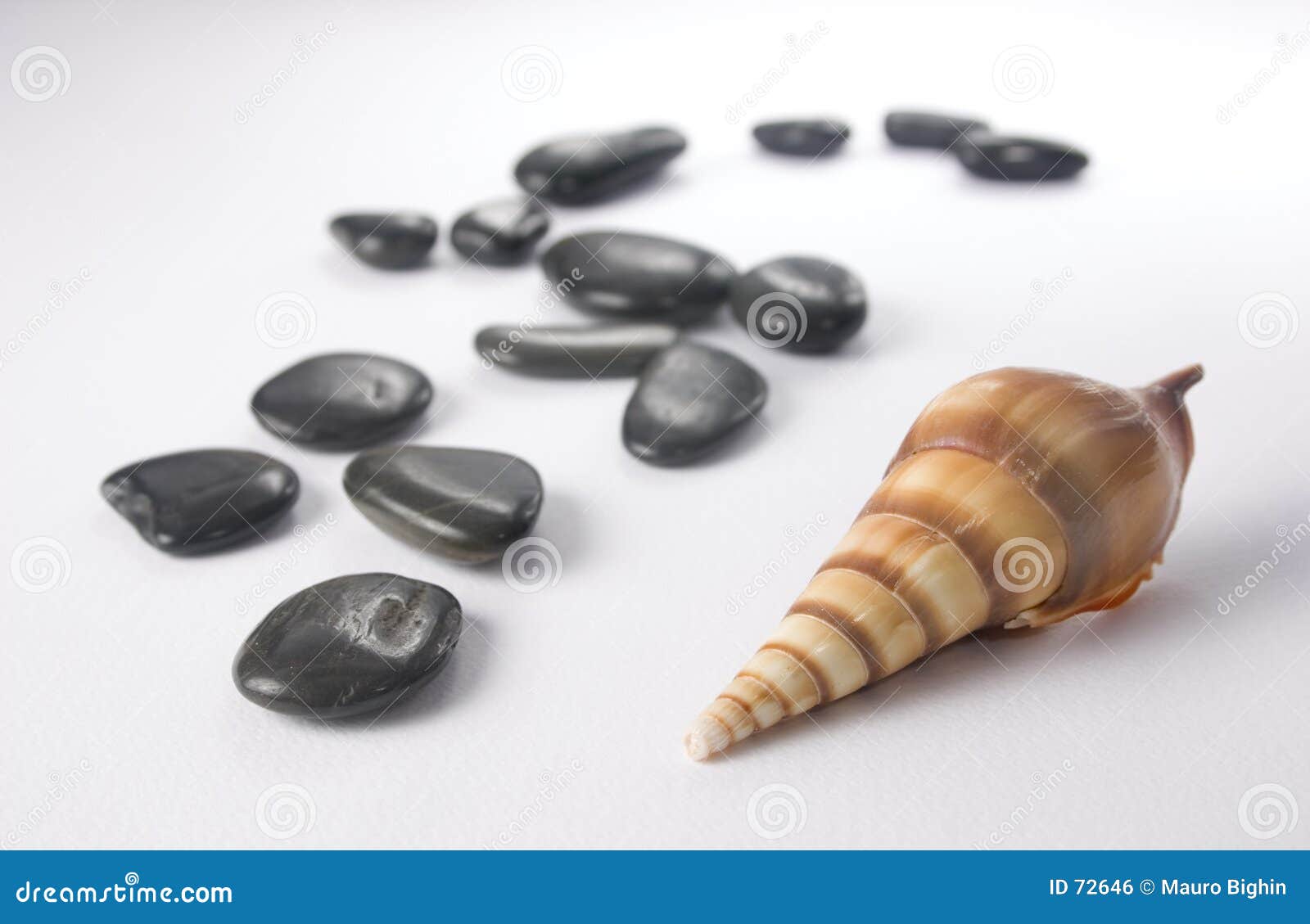 Sea Scent - Stones and Shell Stock Photo - Image of water, sand: 72646
