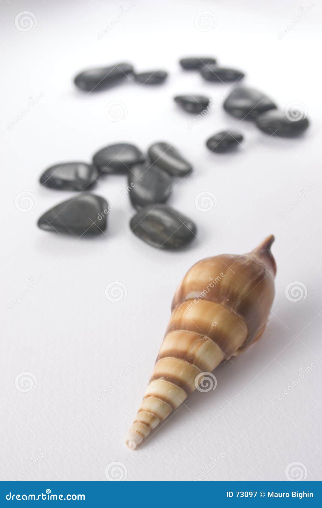 Sea Scent - Stones and Shell Stock Image - Image of stone, water: 73097