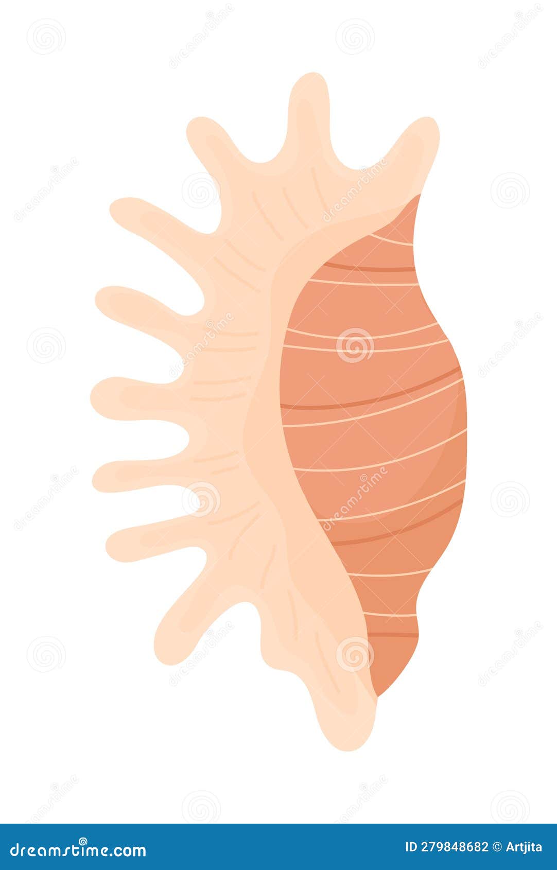 Sea Schell, Conches Of Sea Snail Vector.Colorful Shell, Ocean Conch ...