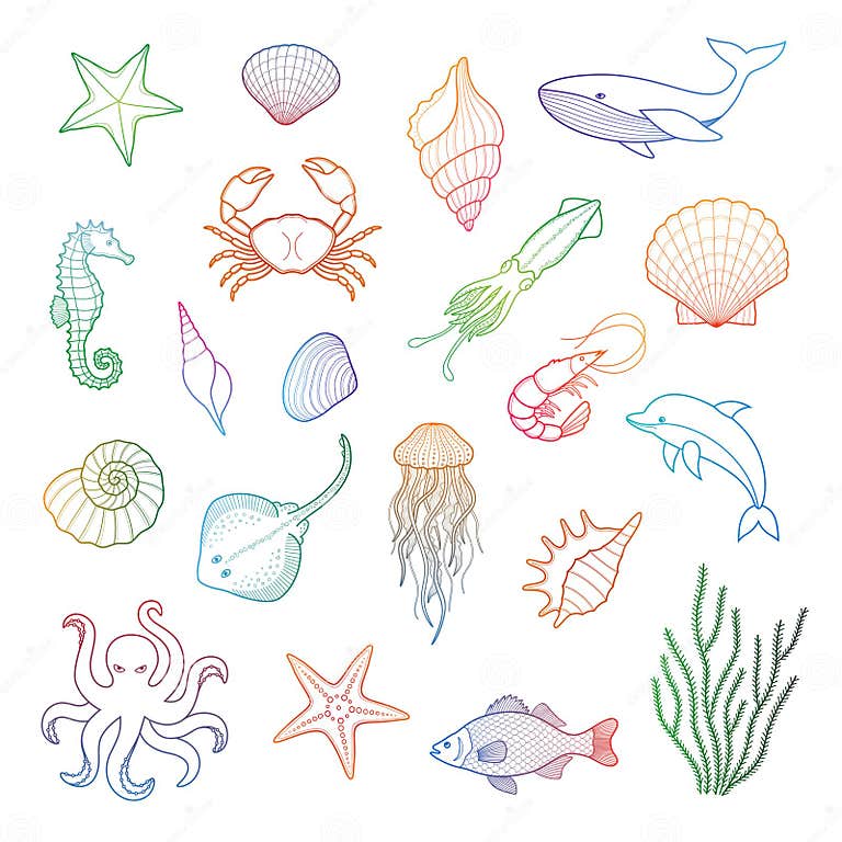 Sea set 3 stock vector. Illustration of lobster, chute - 79205810