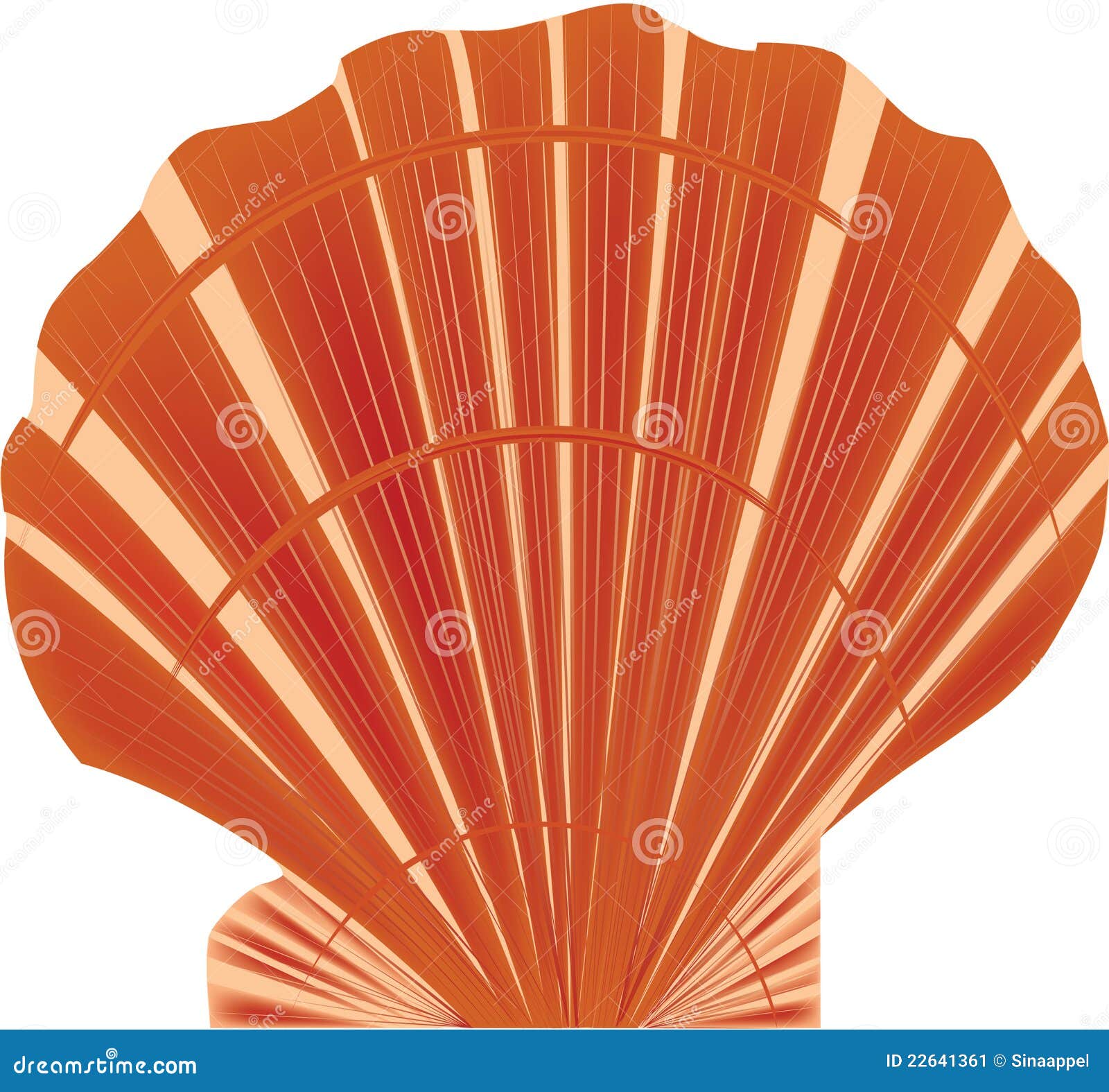 Sea shell stock vector. Illustration of shape, mussel - 22641361