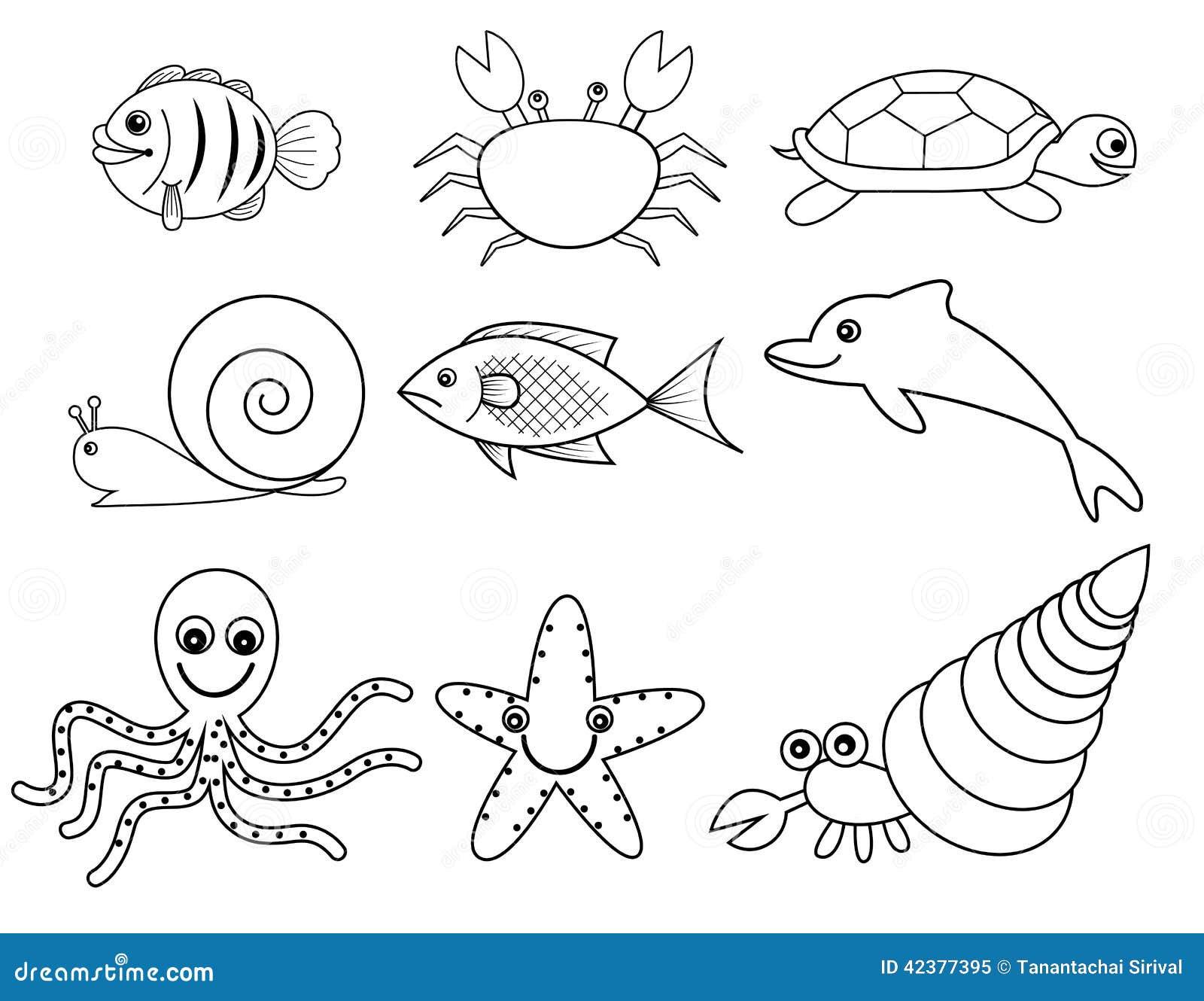 Sea And Shell Animals Stock Vector - Image: 42377395