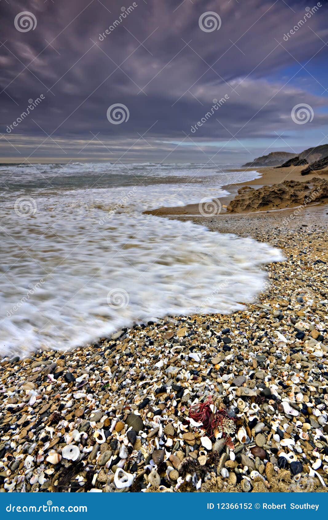 Sea Shell Bay stock photo. Image of shells, wave, beach - 12366152