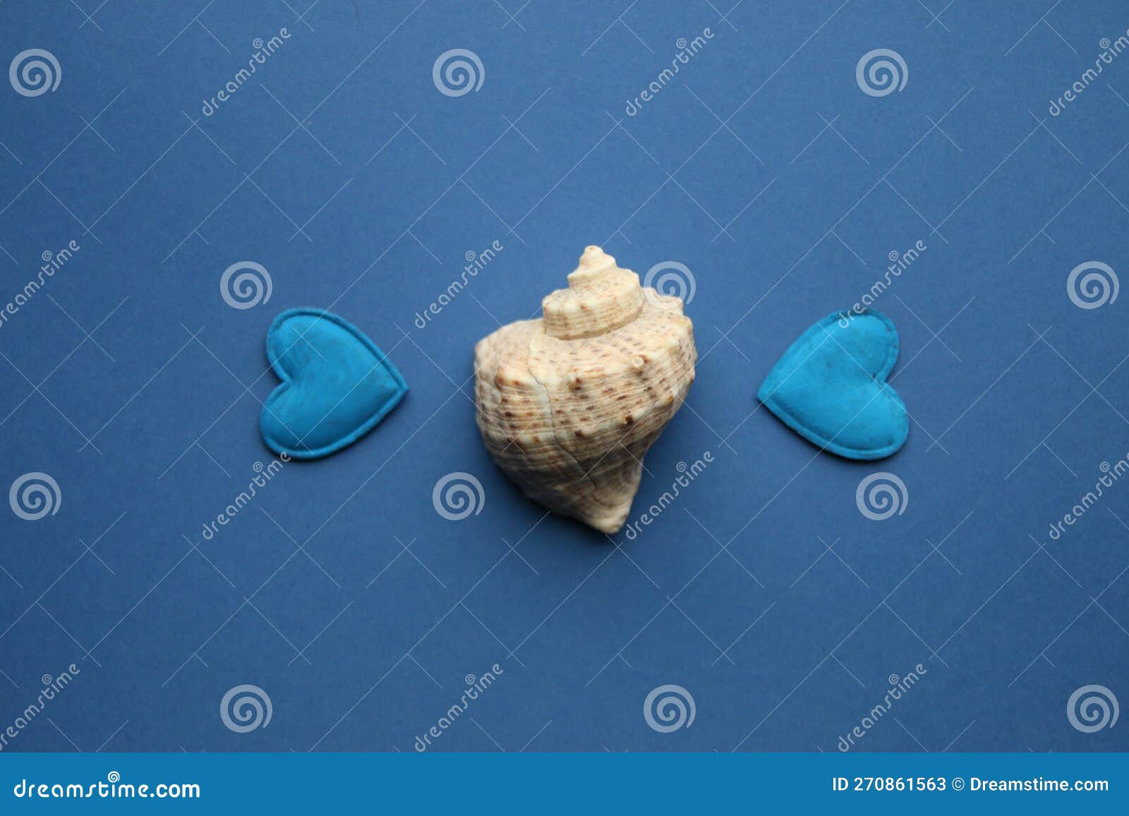 Sea Shell on a Blue Background Stock Image - Image of copy, brown ...