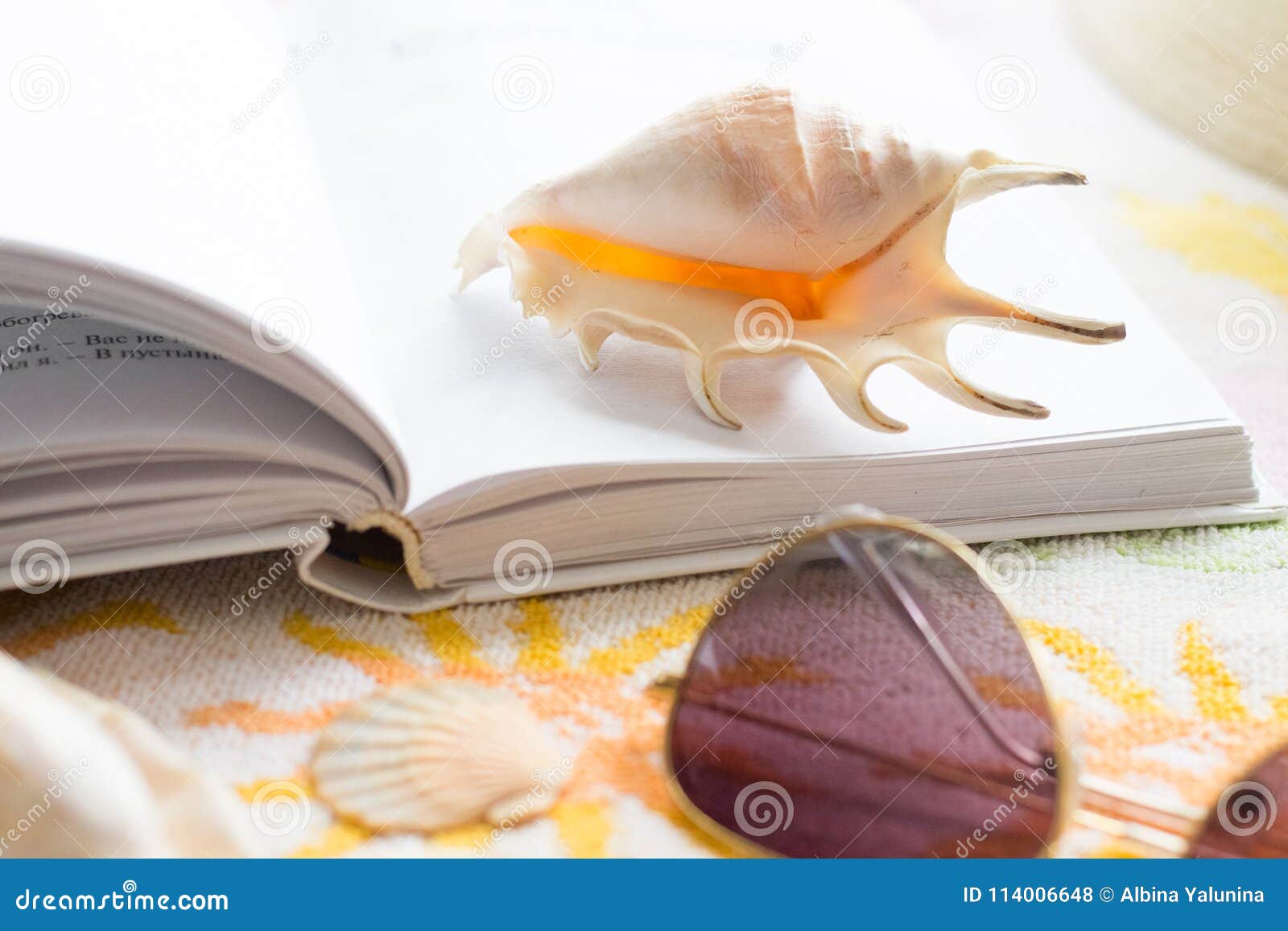 Sea shell on book stock photo. Image of clothes, starfish - 114006648