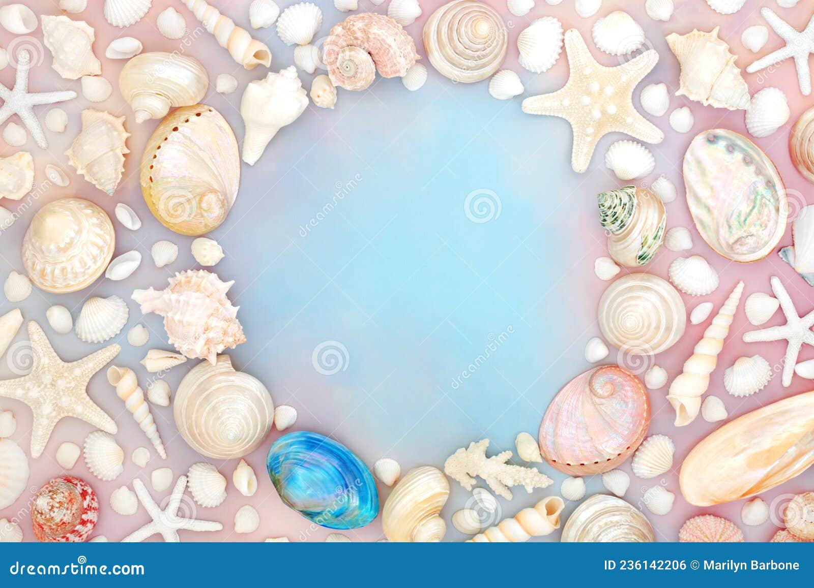 Seashell Border Stock Photography | CartoonDealer.com #31227284