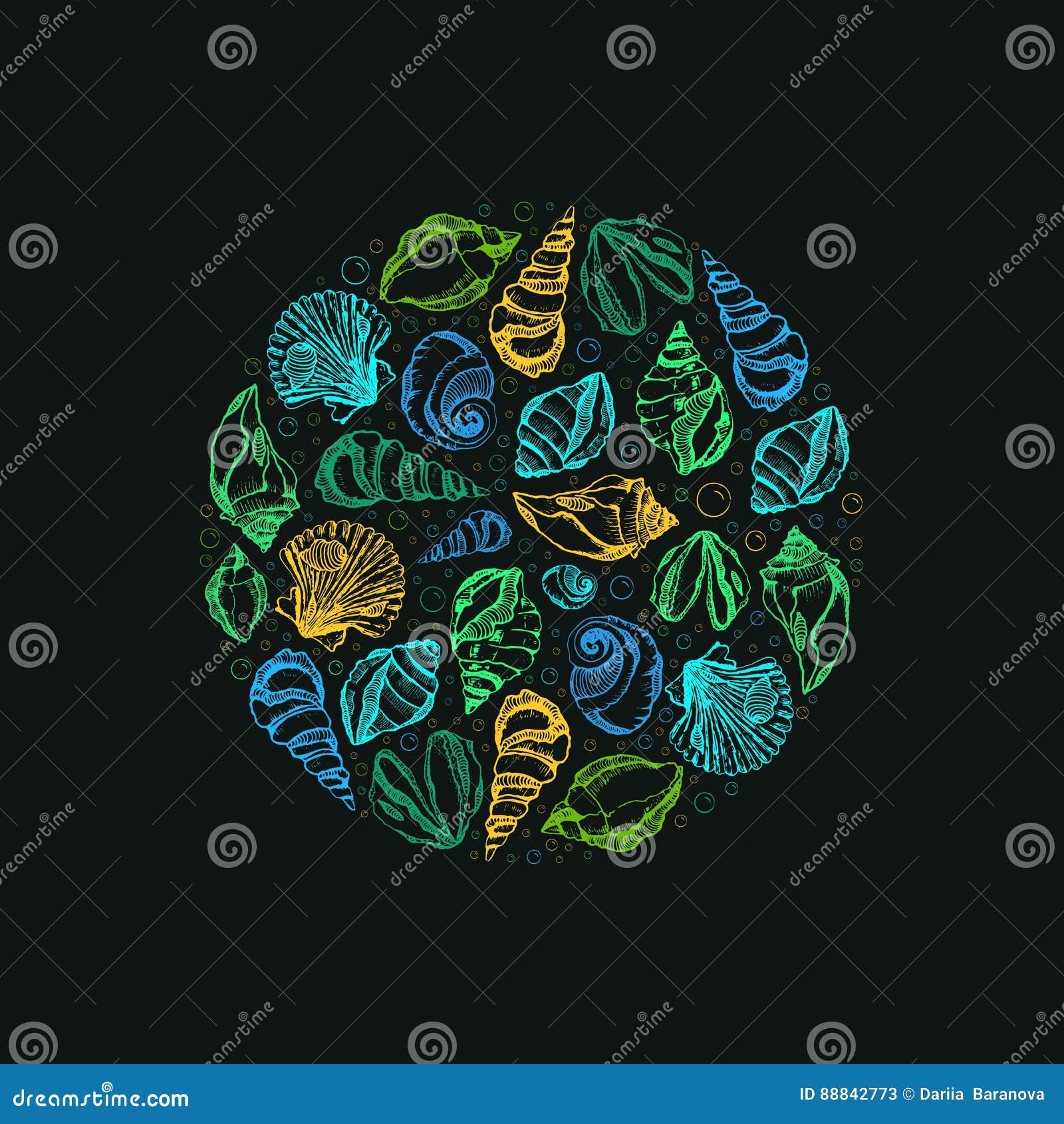 Sea shell circle stock vector. Illustration of marine - 88842773