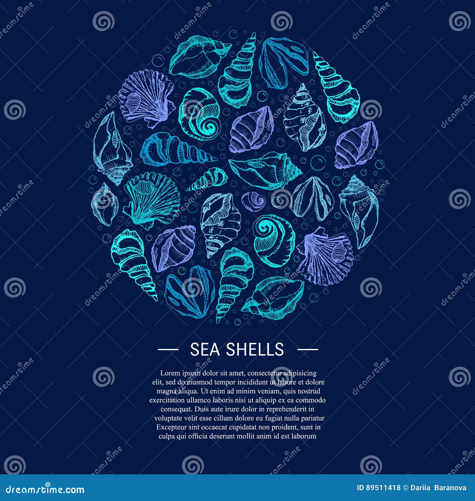 Sea shell circle stock vector. Illustration of beautiful - 89511418