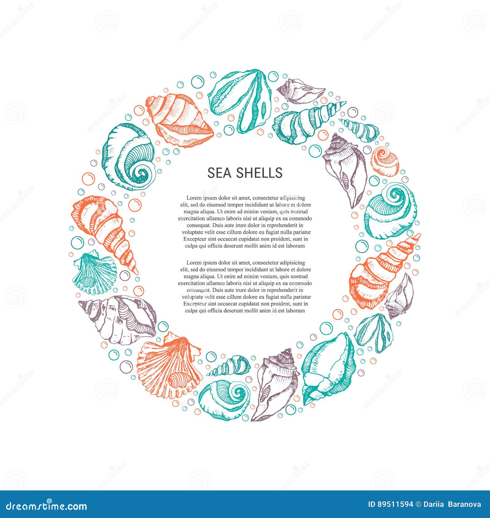 Sea shell circle stock vector. Illustration of seashell - 89511594