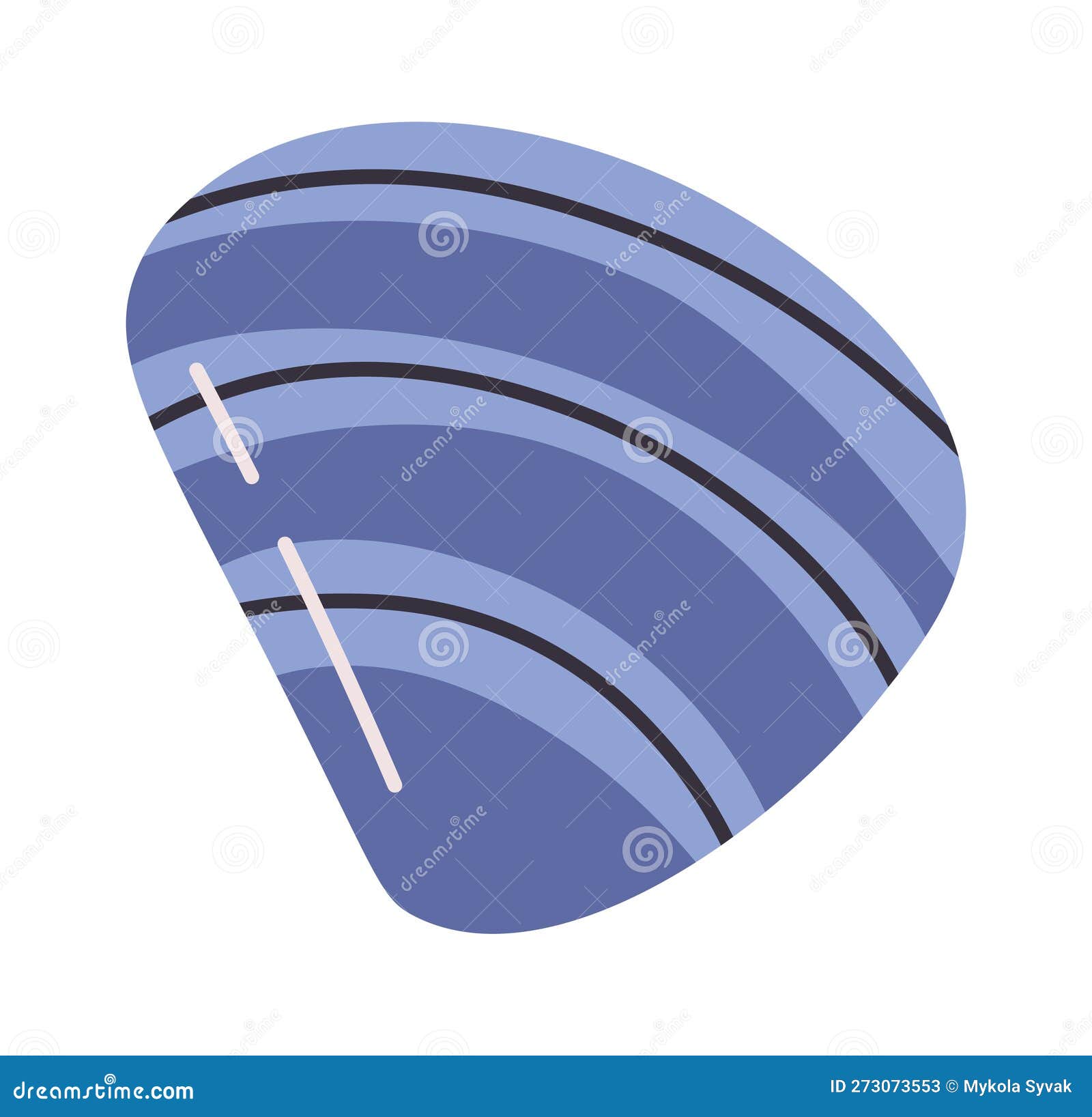 Sea Shell stock vector. Illustration of shell, summer - 273073553