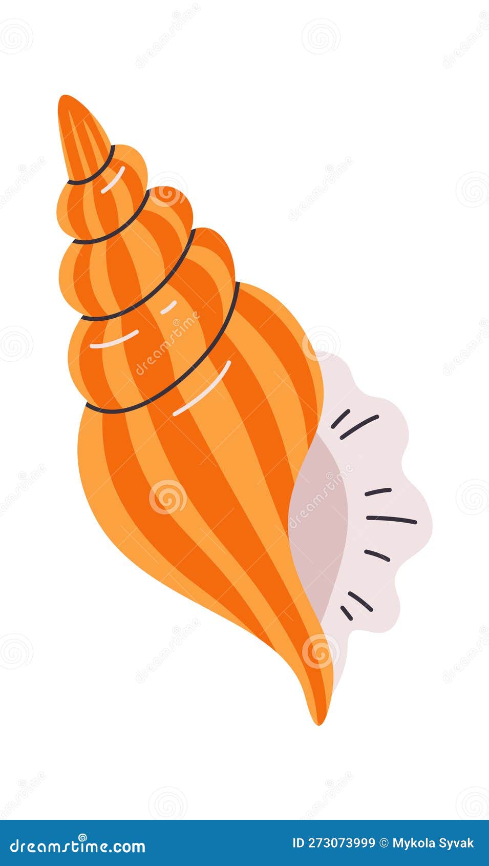 Sea Shell stock vector. Illustration of tropical, nature - 273073999