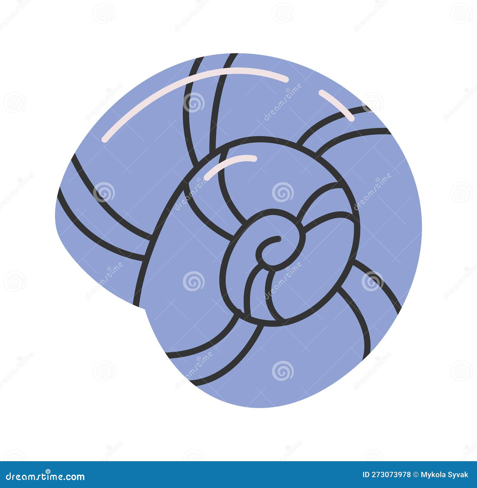 Sea Shell stock vector. Illustration of tropical, marine - 273073978