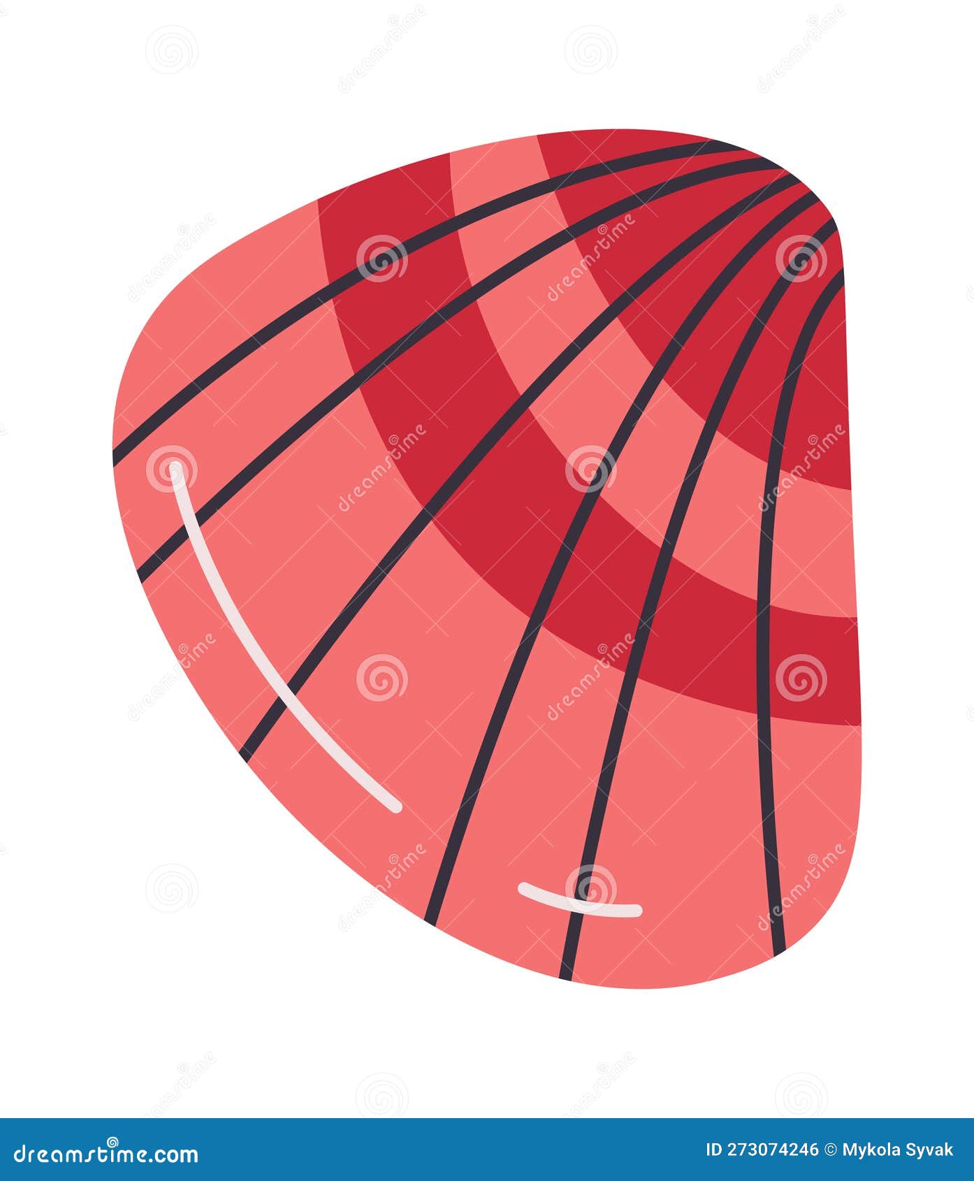 Sea Shell stock vector. Illustration of tropical, exotic - 273074246