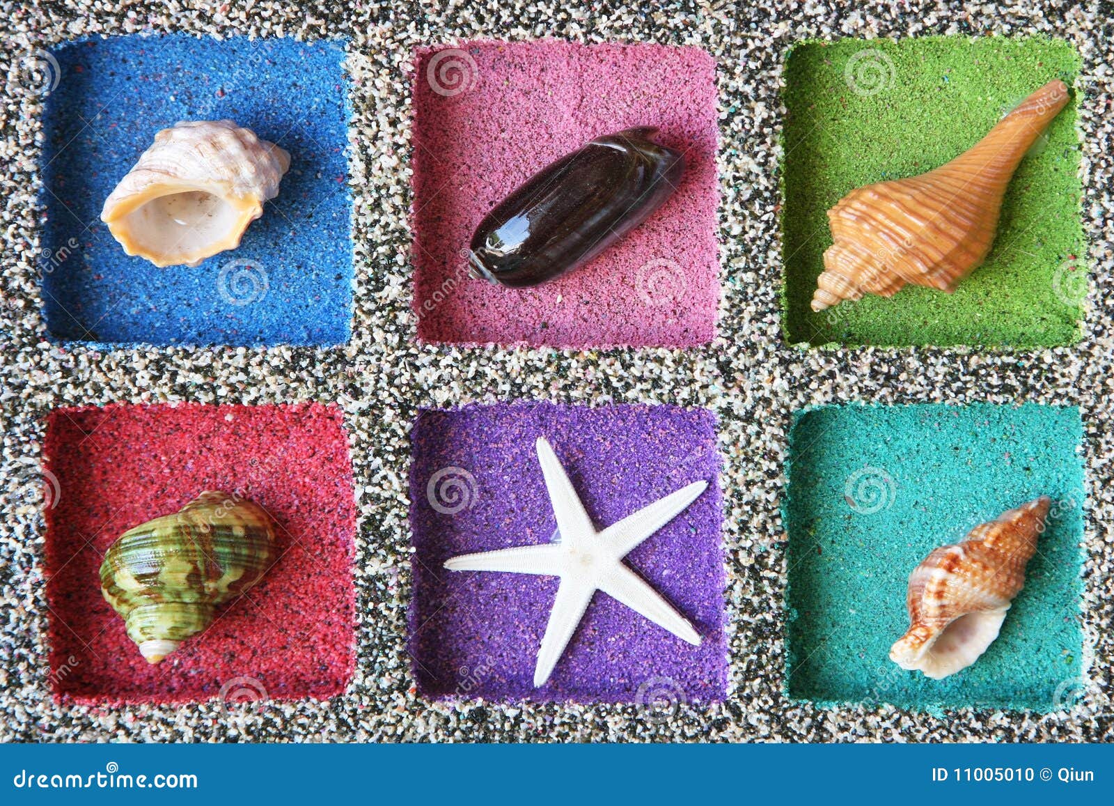 Sea Shell composition stock photo. Image of conch, colorful - 11005010