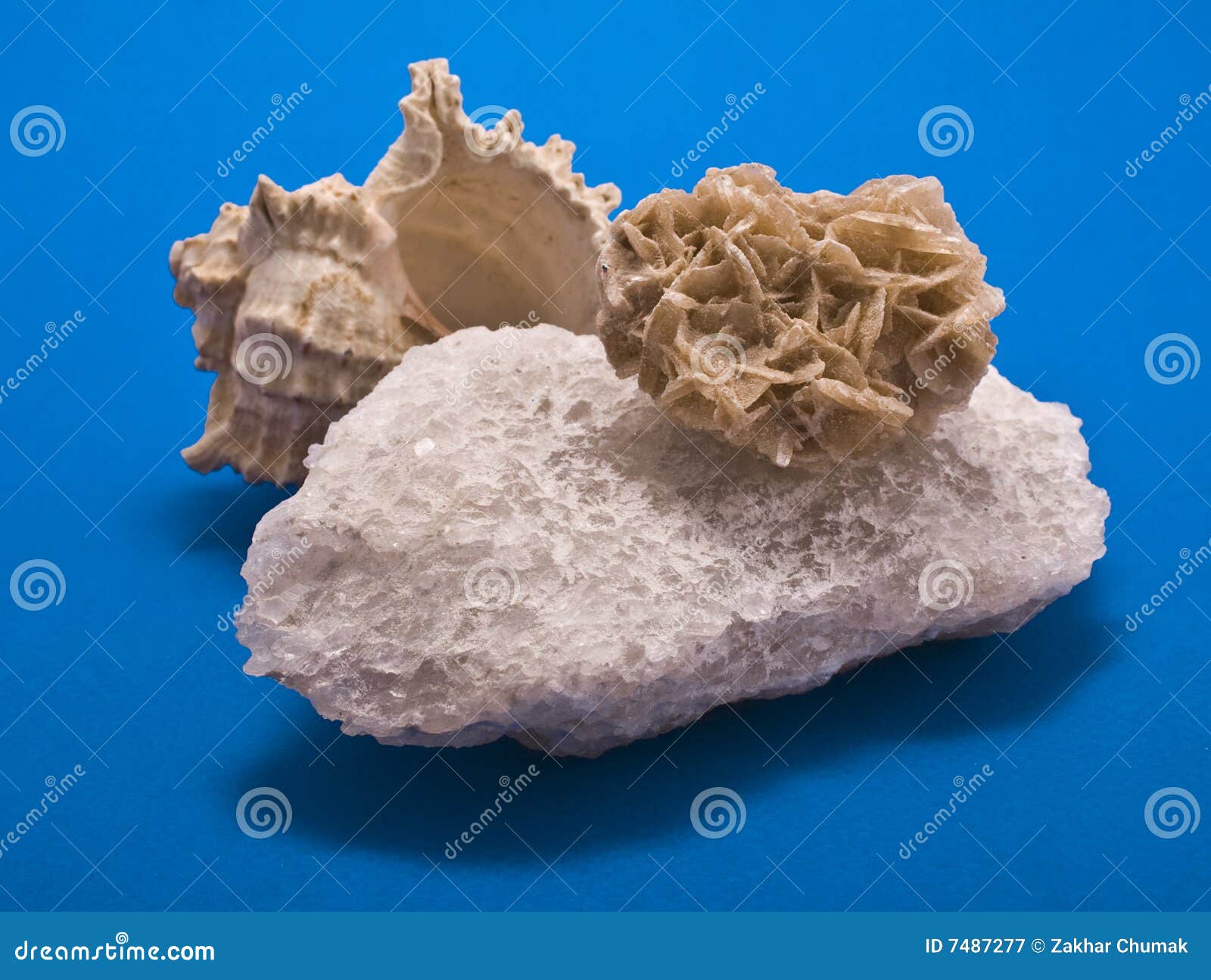Sea shell and crystal stock image. Image of beach, crystal - 7487277