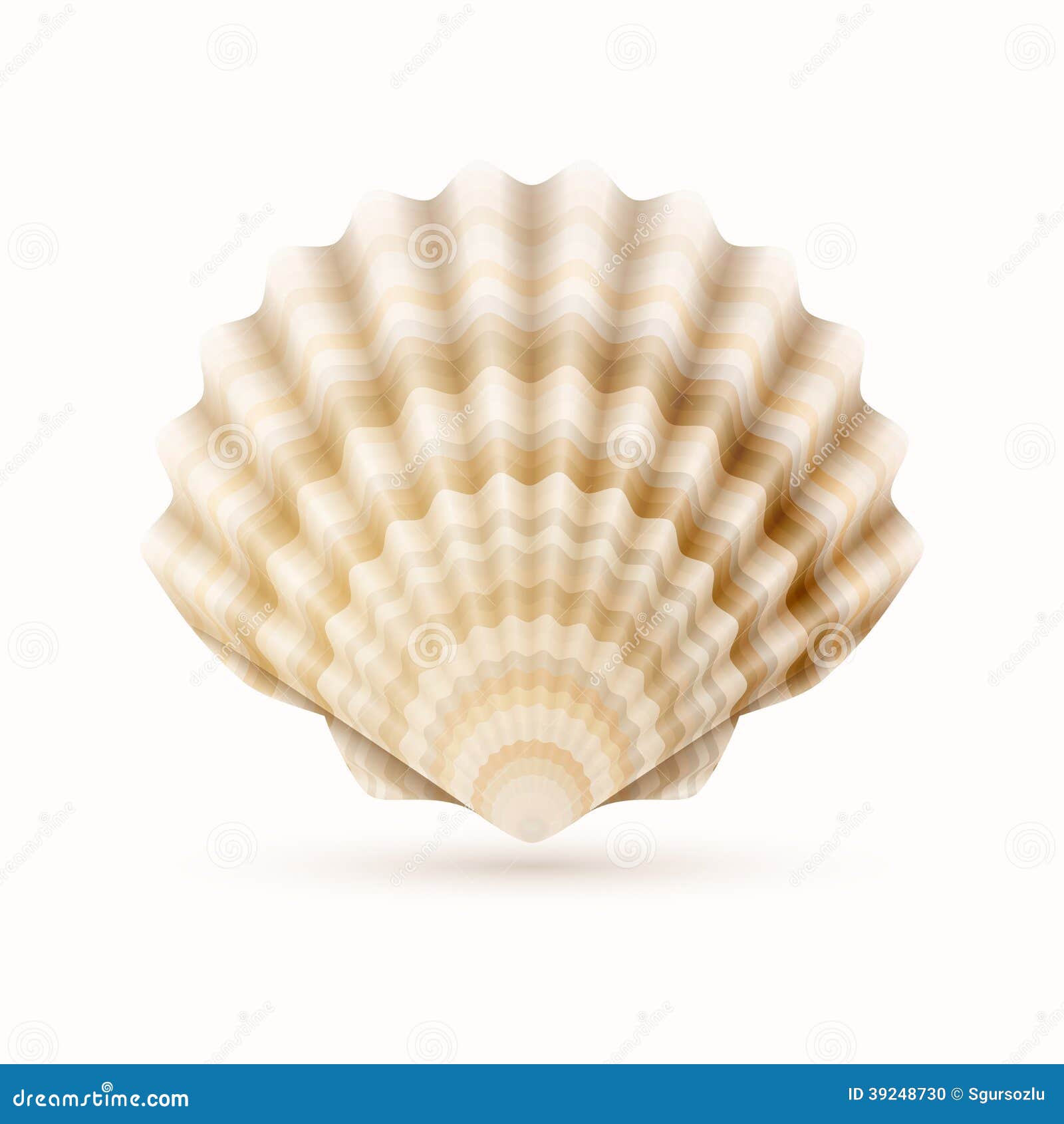 Shell Stock Illustrations – 166,868 Shell Stock Illustrations, Vectors ...